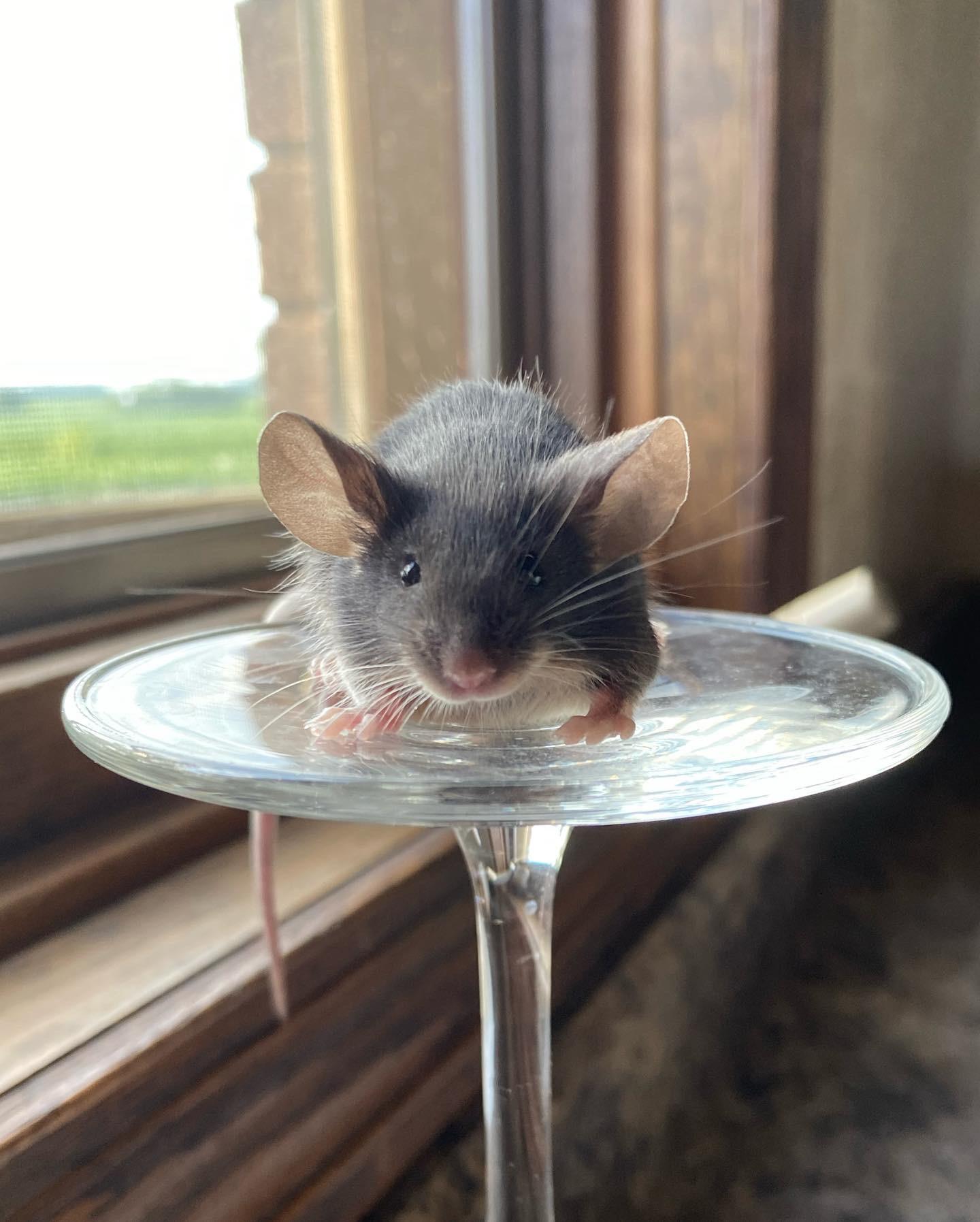 My keeper ️ | Scrolller