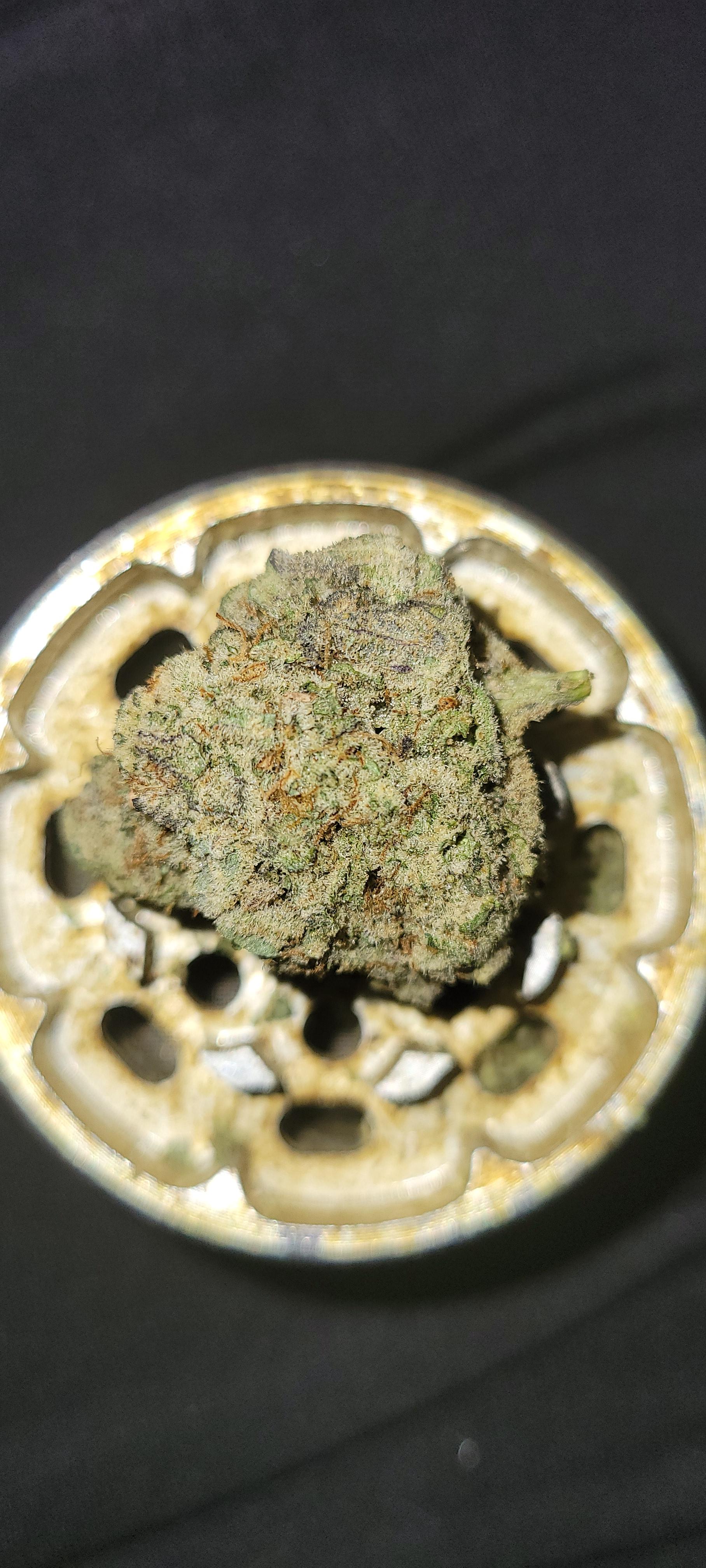 Strain: MAC | Scrolller