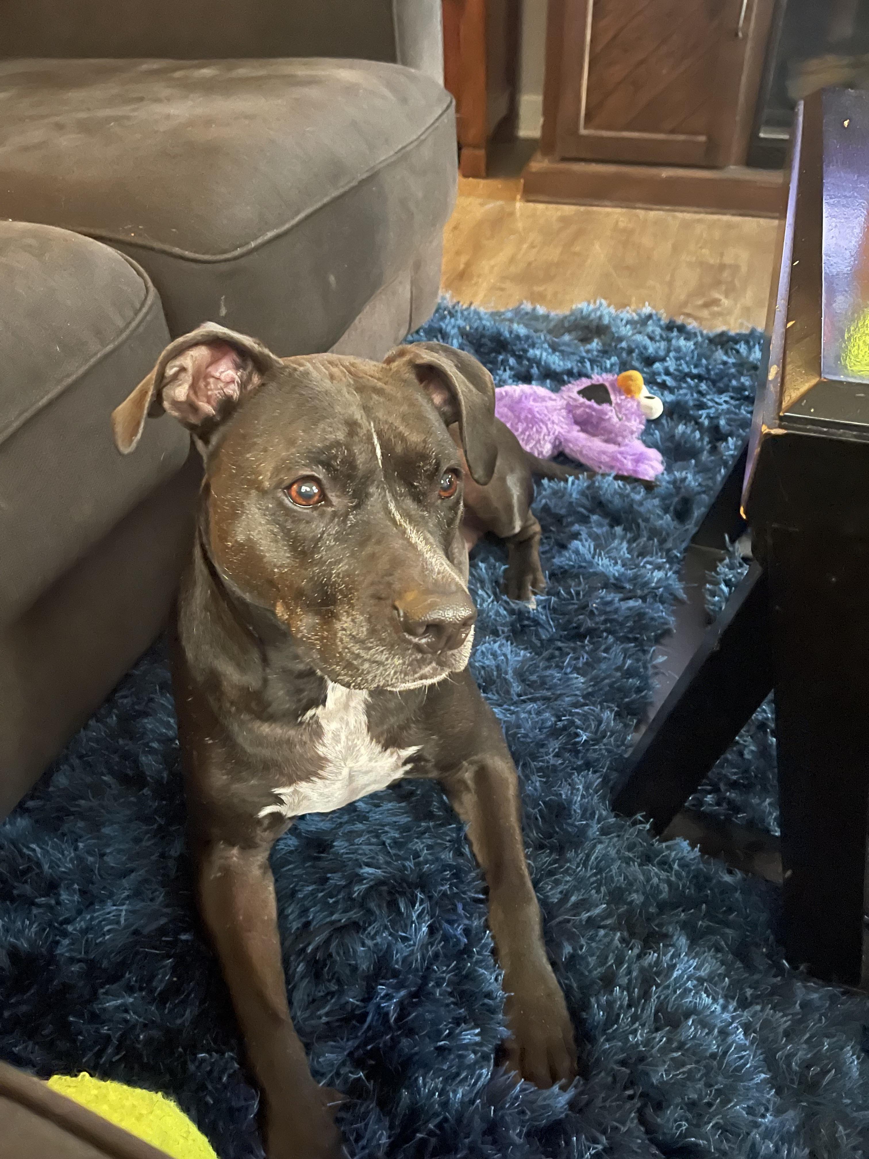 Wild Child | Scrolller