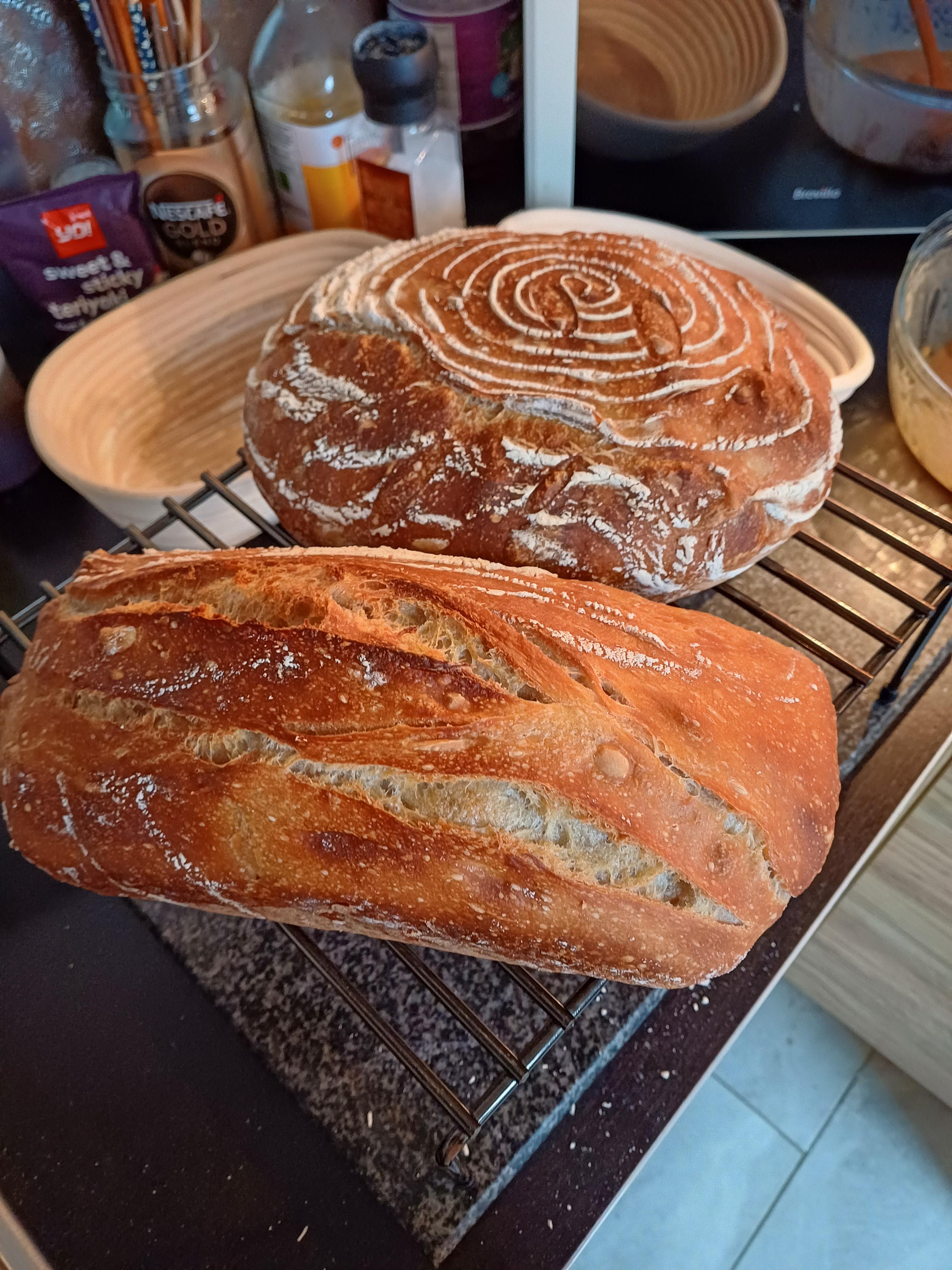 My (possibly) overproofed, (probably) overbaked loaves | Scrolller