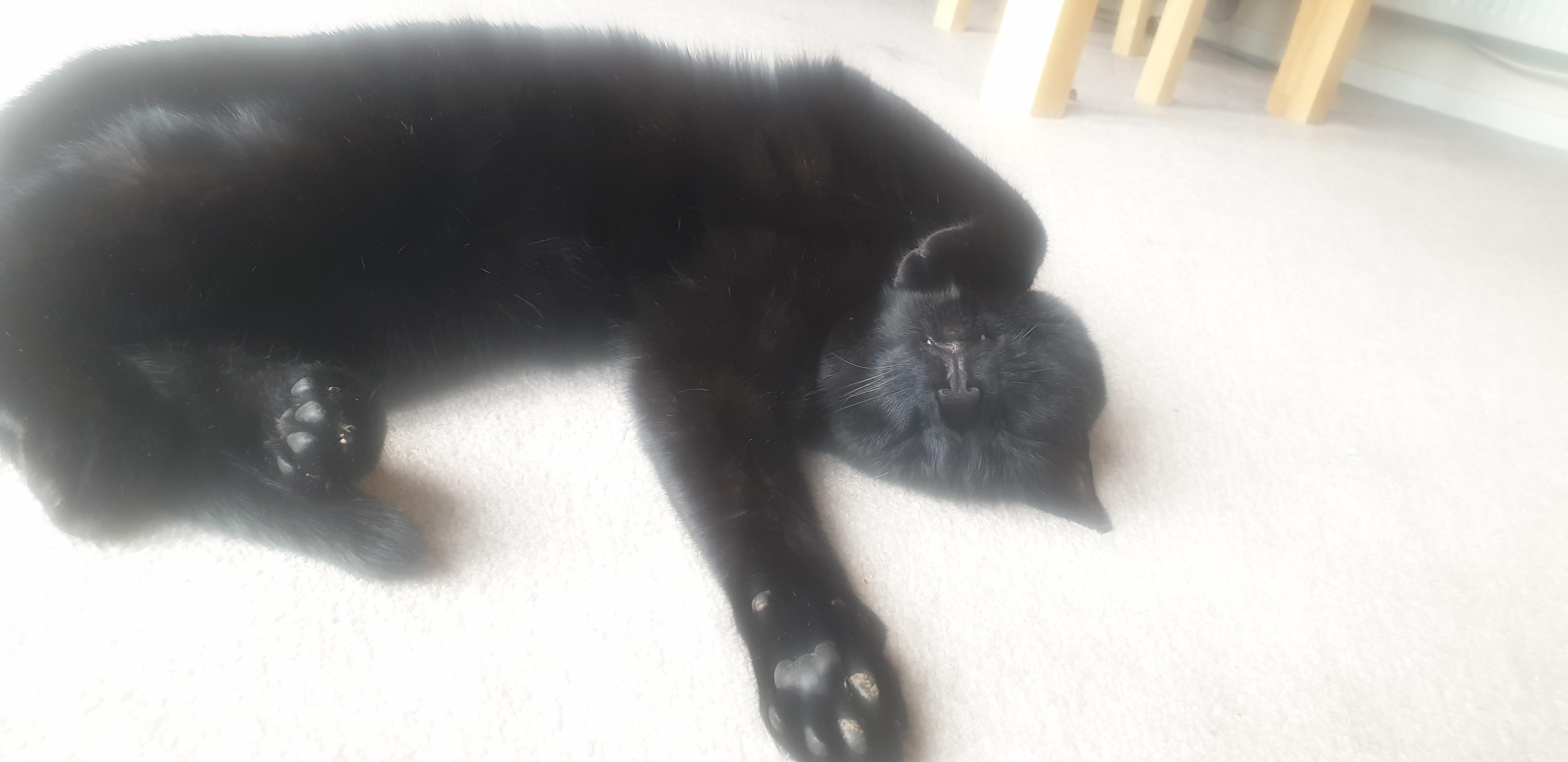 Just sleepy void things | Scrolller