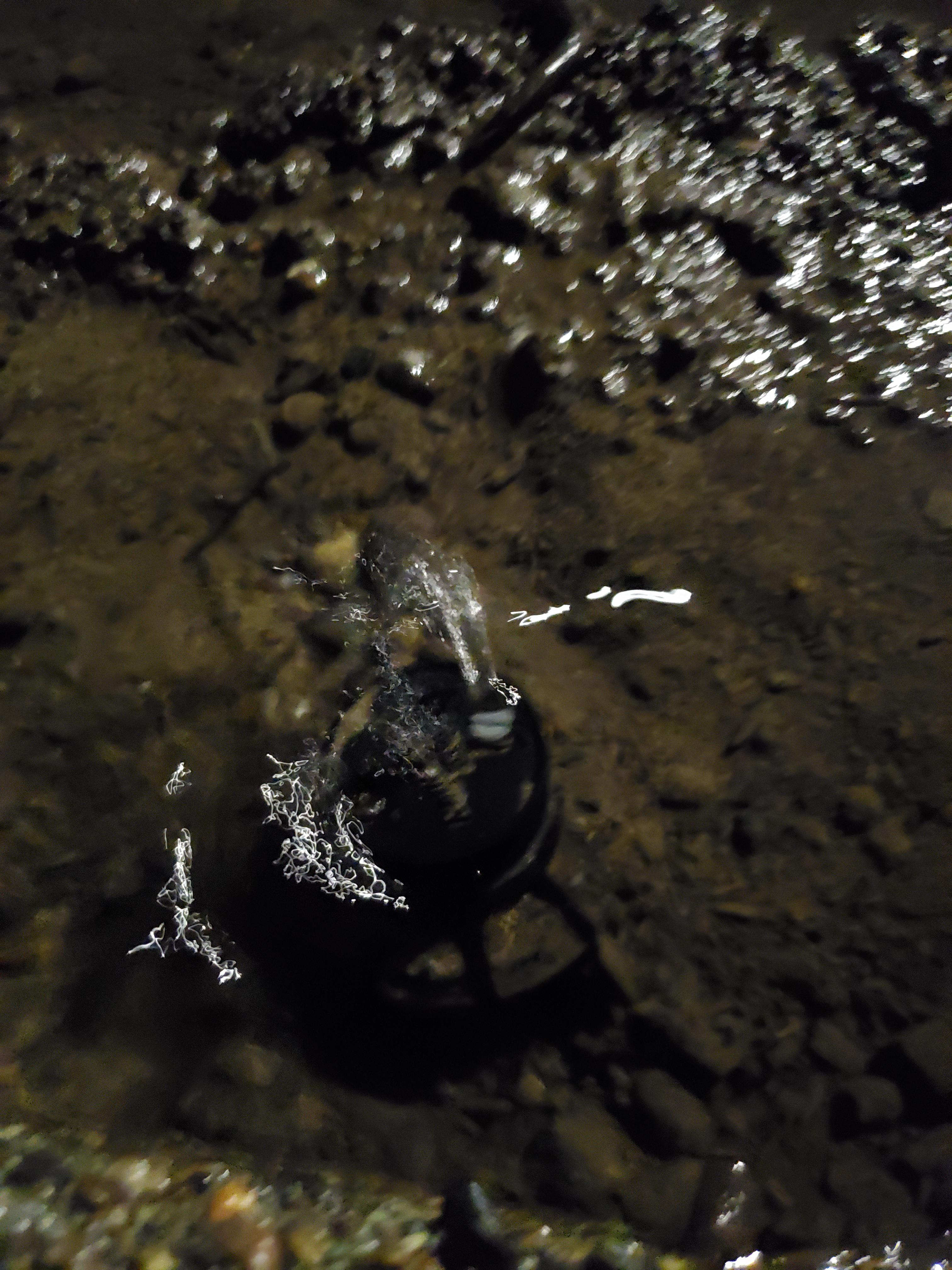 Leaking sprinkler, how to fix? | Scrolller