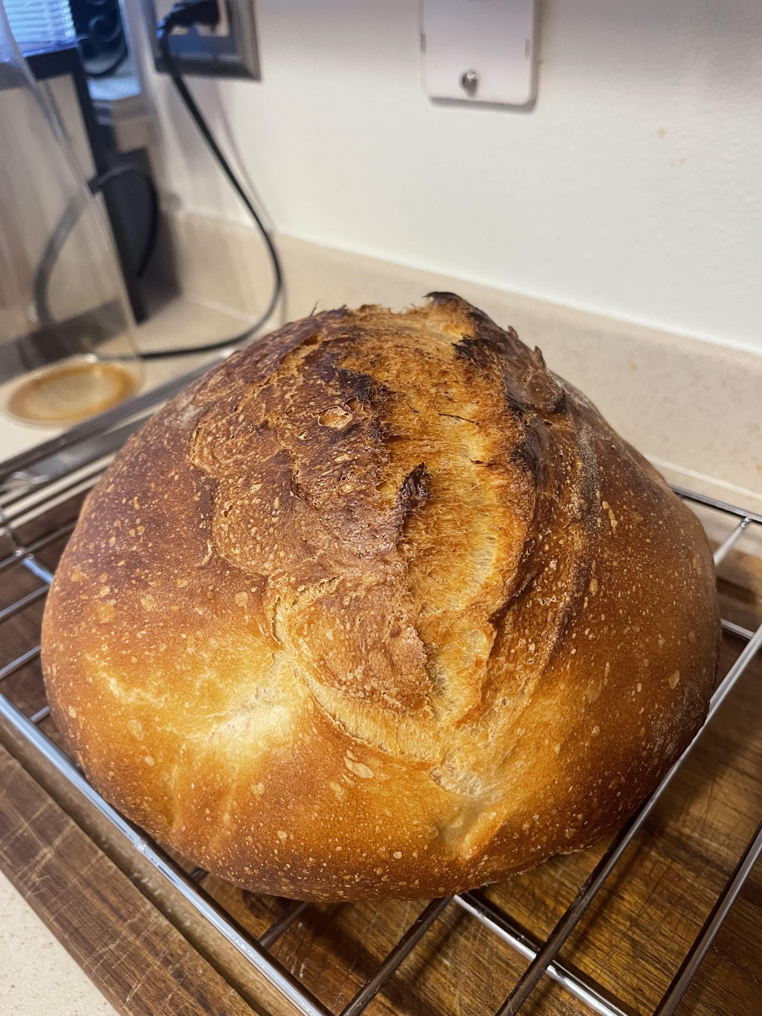 Discover more like Breadit: Honey bread.🍞 and Related Content | Scrolller