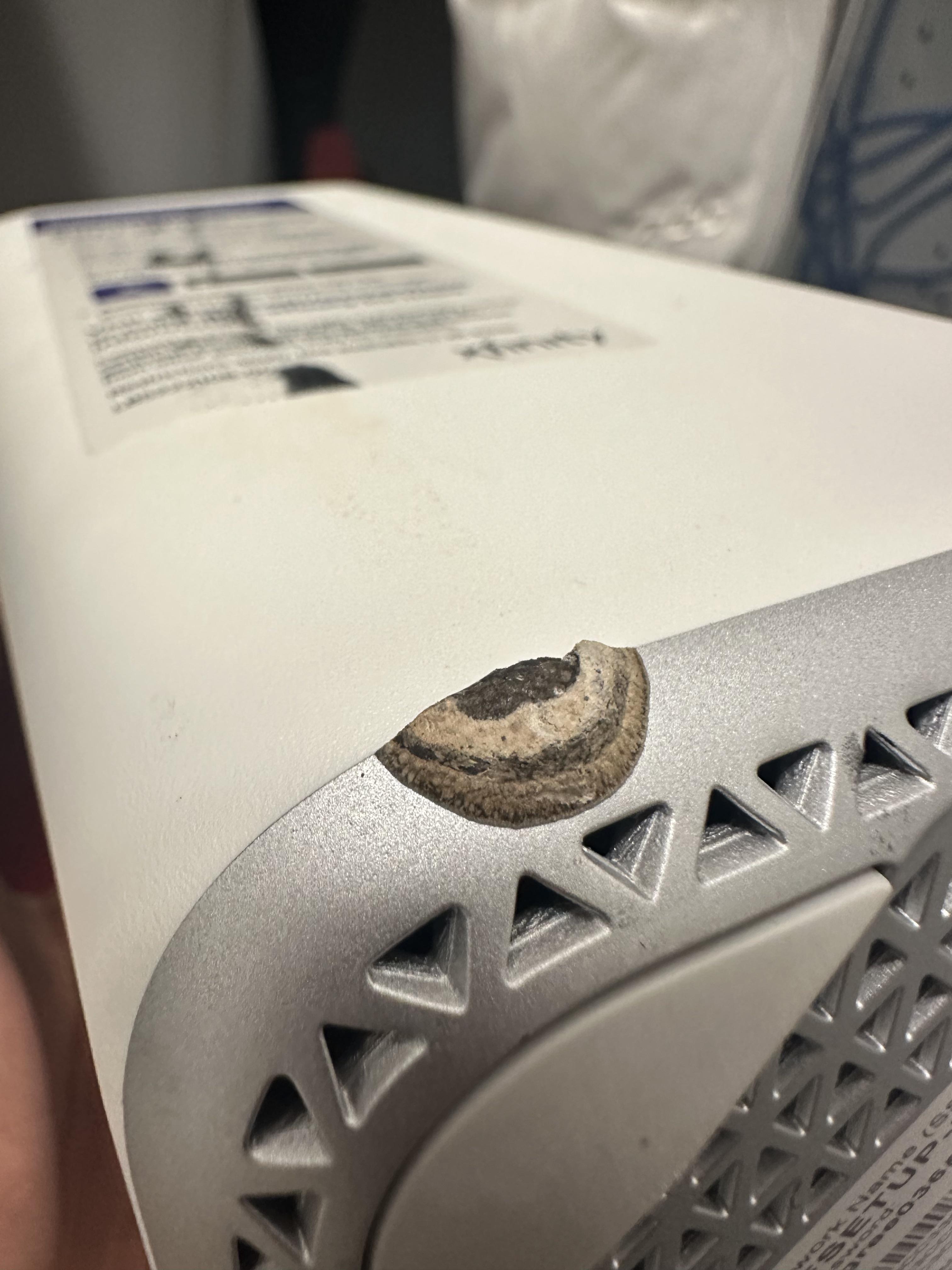 What is this growing on my wifi router? | Scrolller