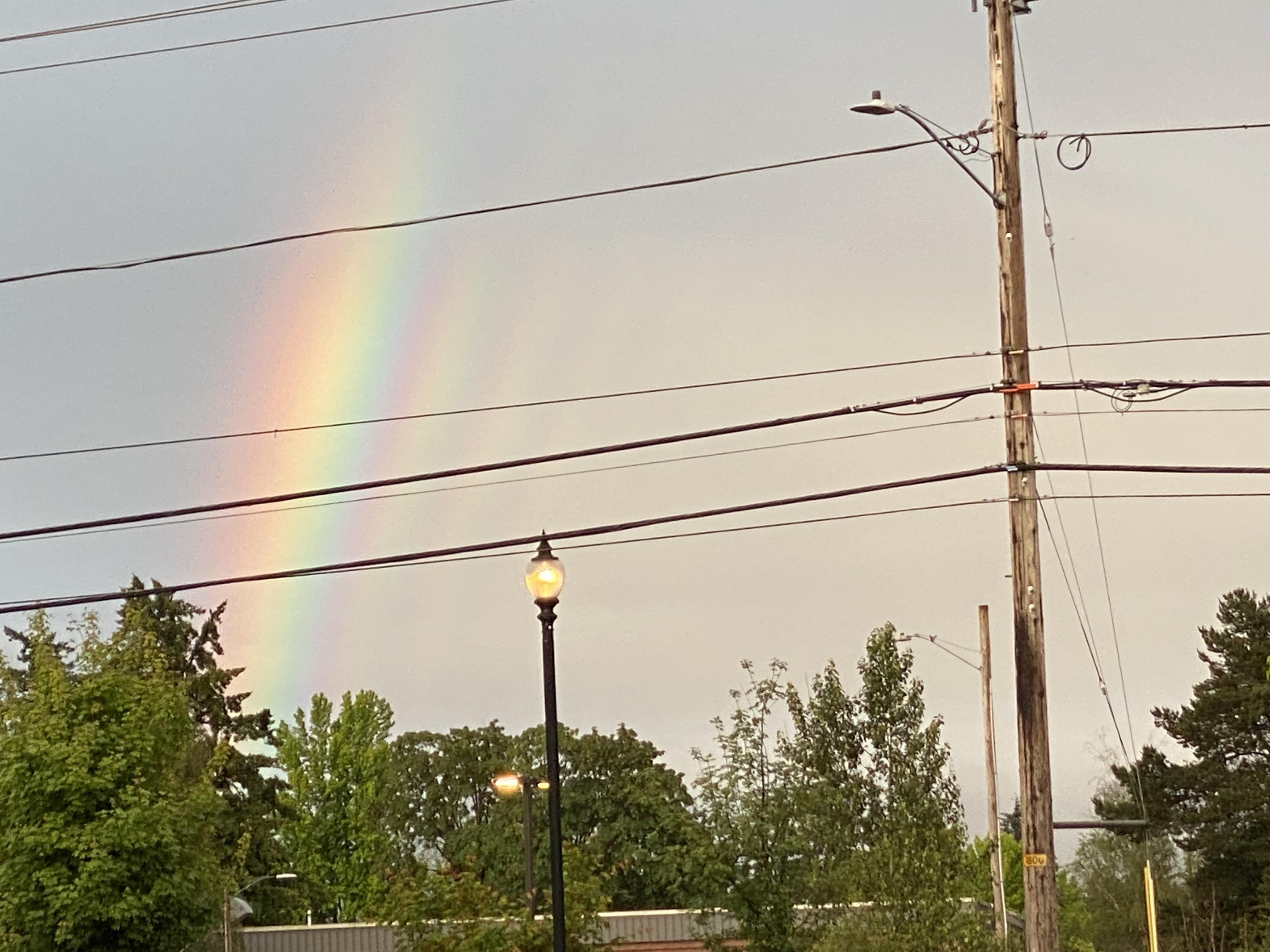When the rainbow programmer goes a little wild with the ctrl-v (a few hours ago in Portland, OR ...