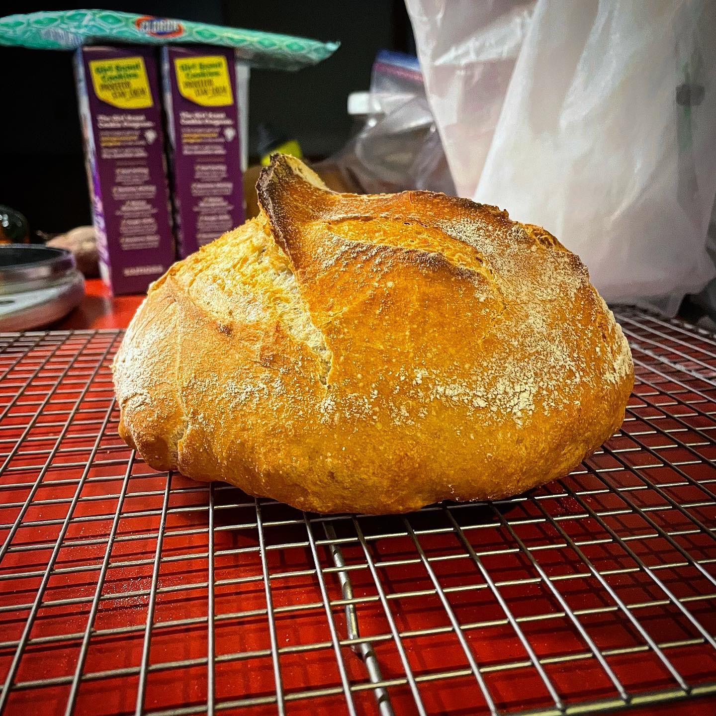 First time trying 30% whole wheat flour in the dough | Scrolller