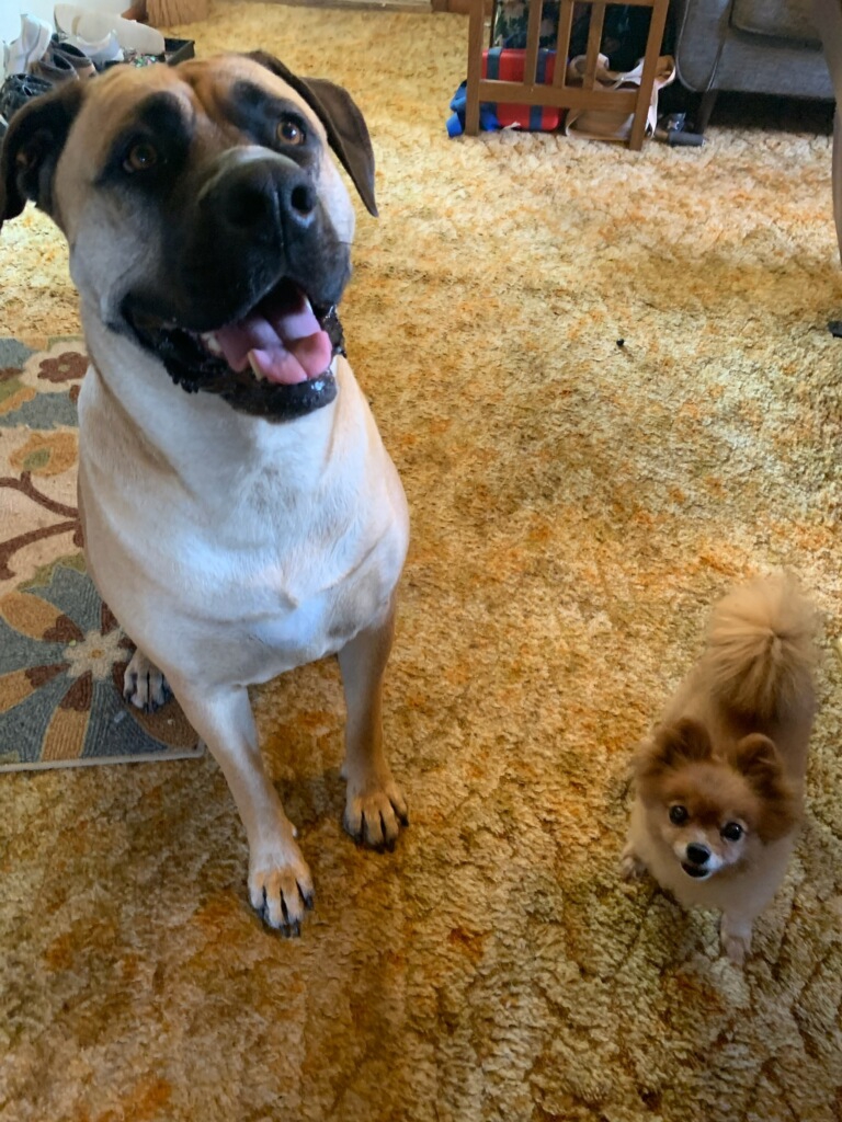 RIP my little teddy | Scrolller