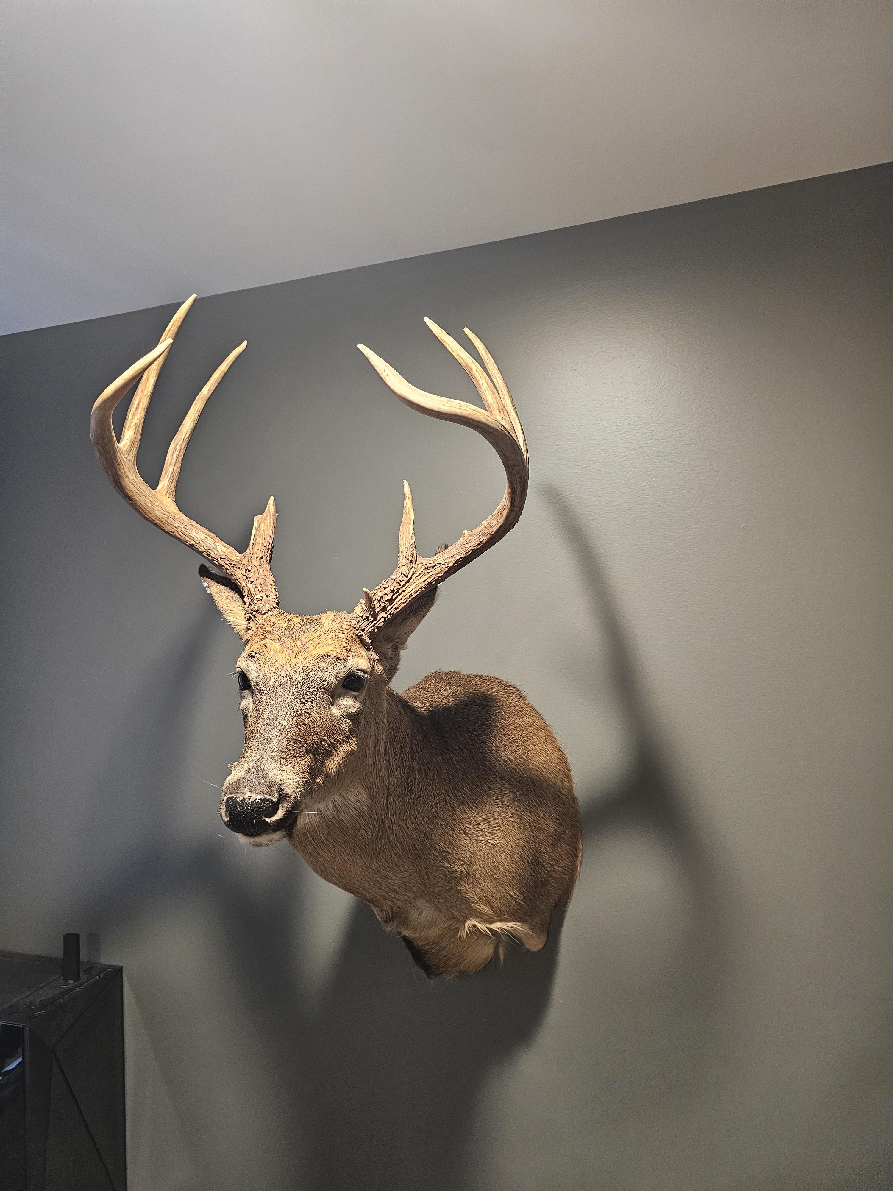 Got my 2022 buck back | Scrolller