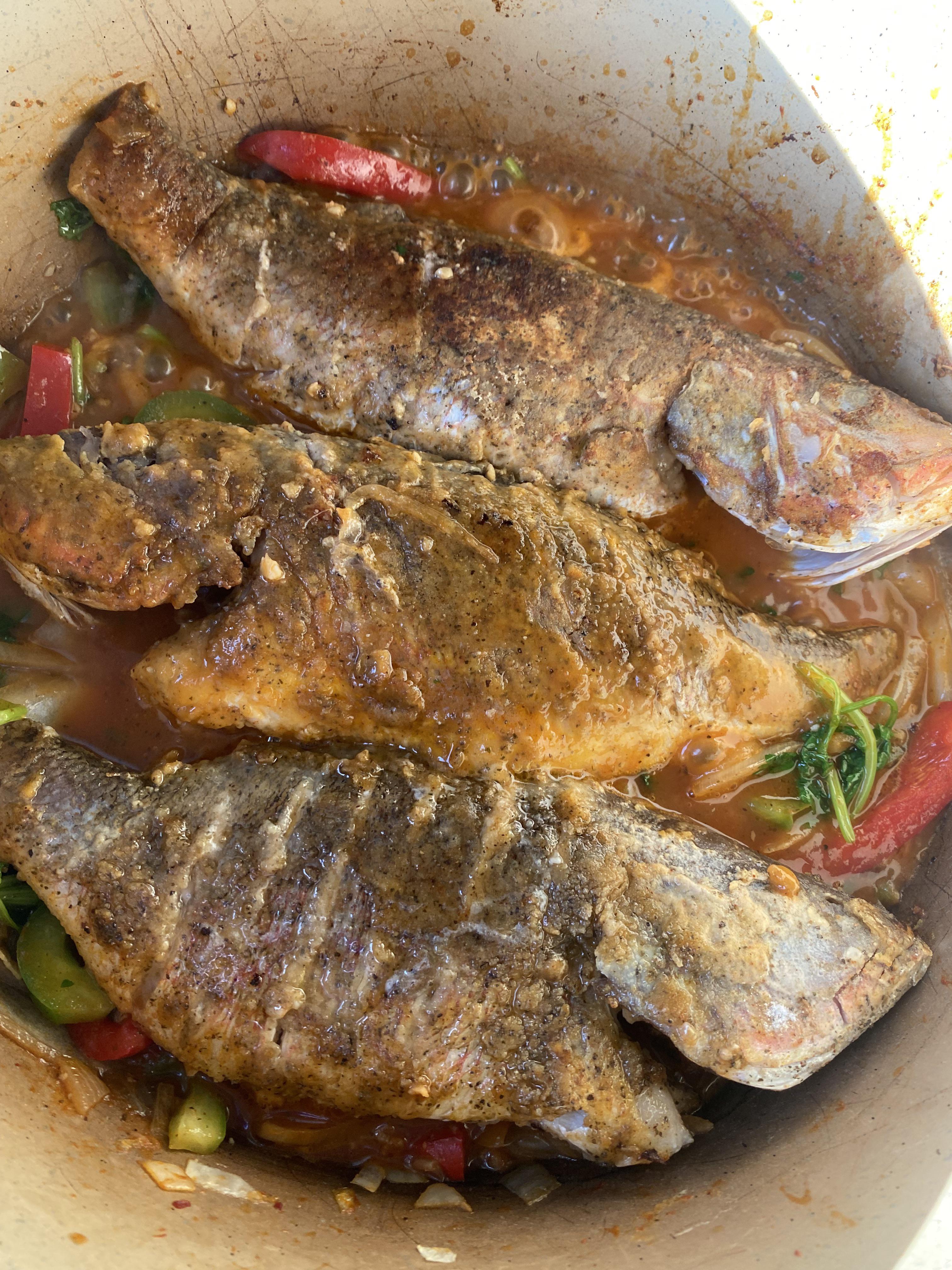 [homemade] stewed coconut snapper. | Scrolller