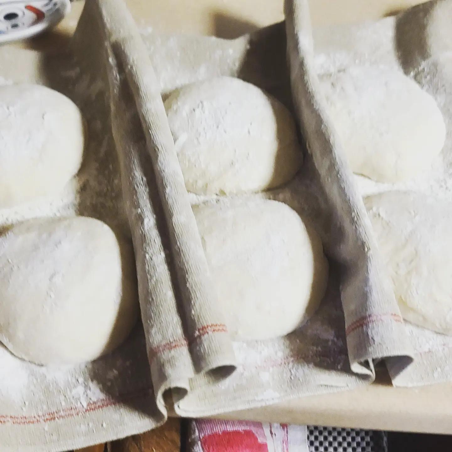 Made some ciabatta today, I thought this was the right place for it. | Scrolller
