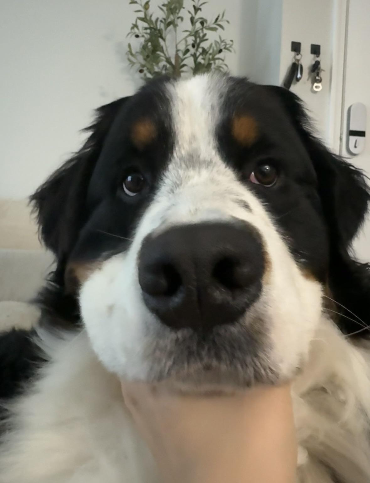 Juno’s many faces | Scrolller