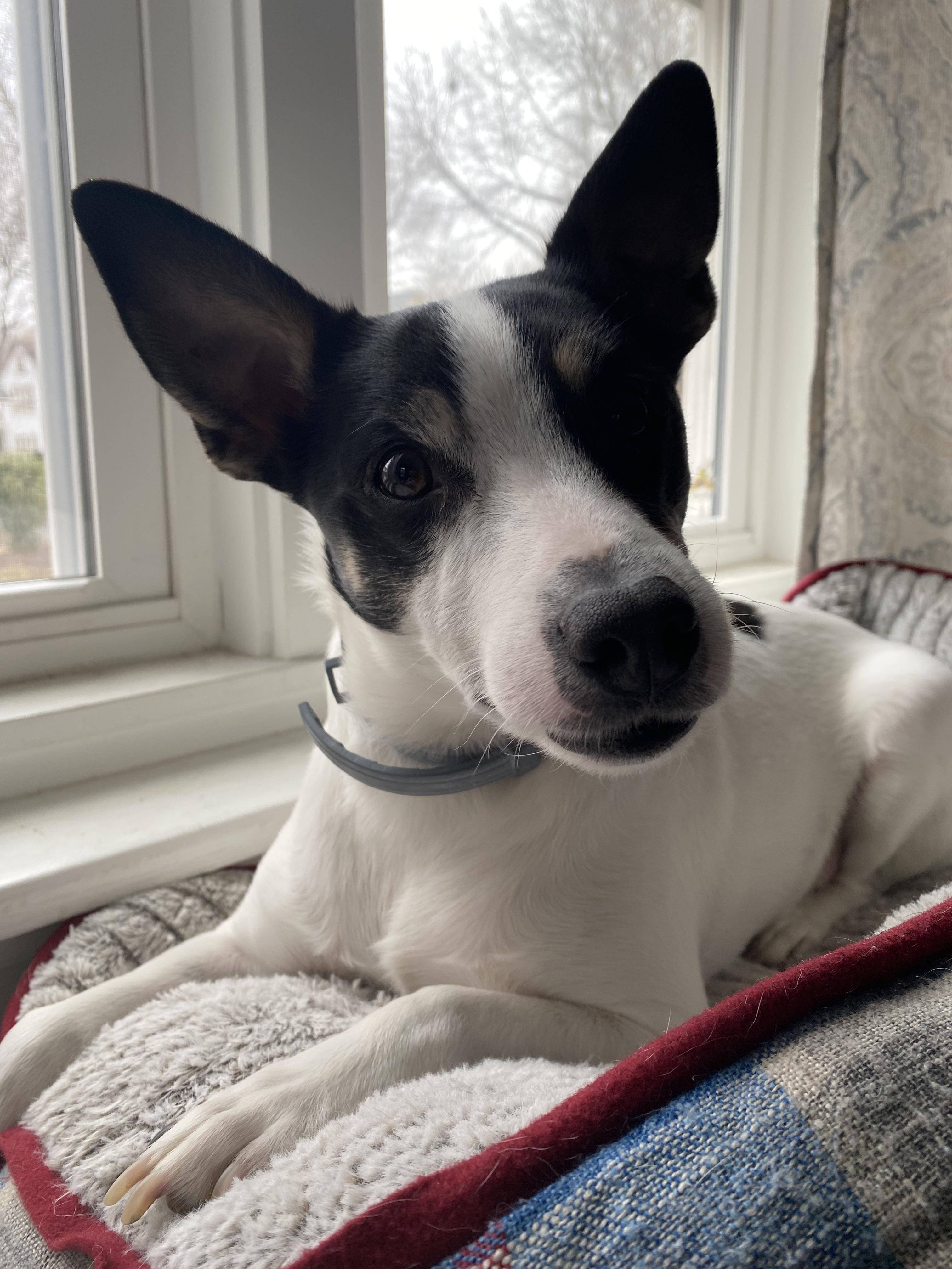 Discover more like Aww: Love me some Hank and Related Content | Scrolller