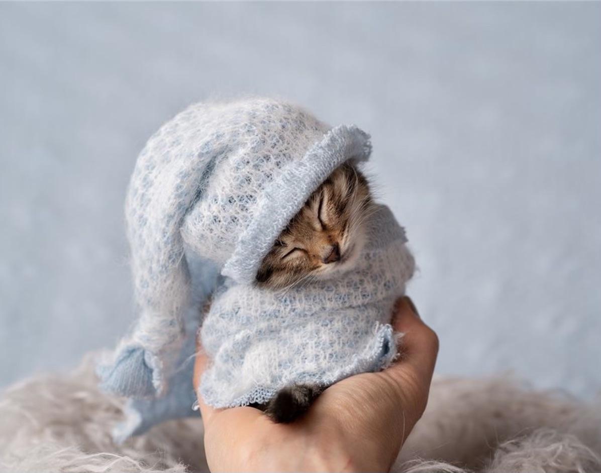 Photoshoot with Millicent and Van | Scrolller