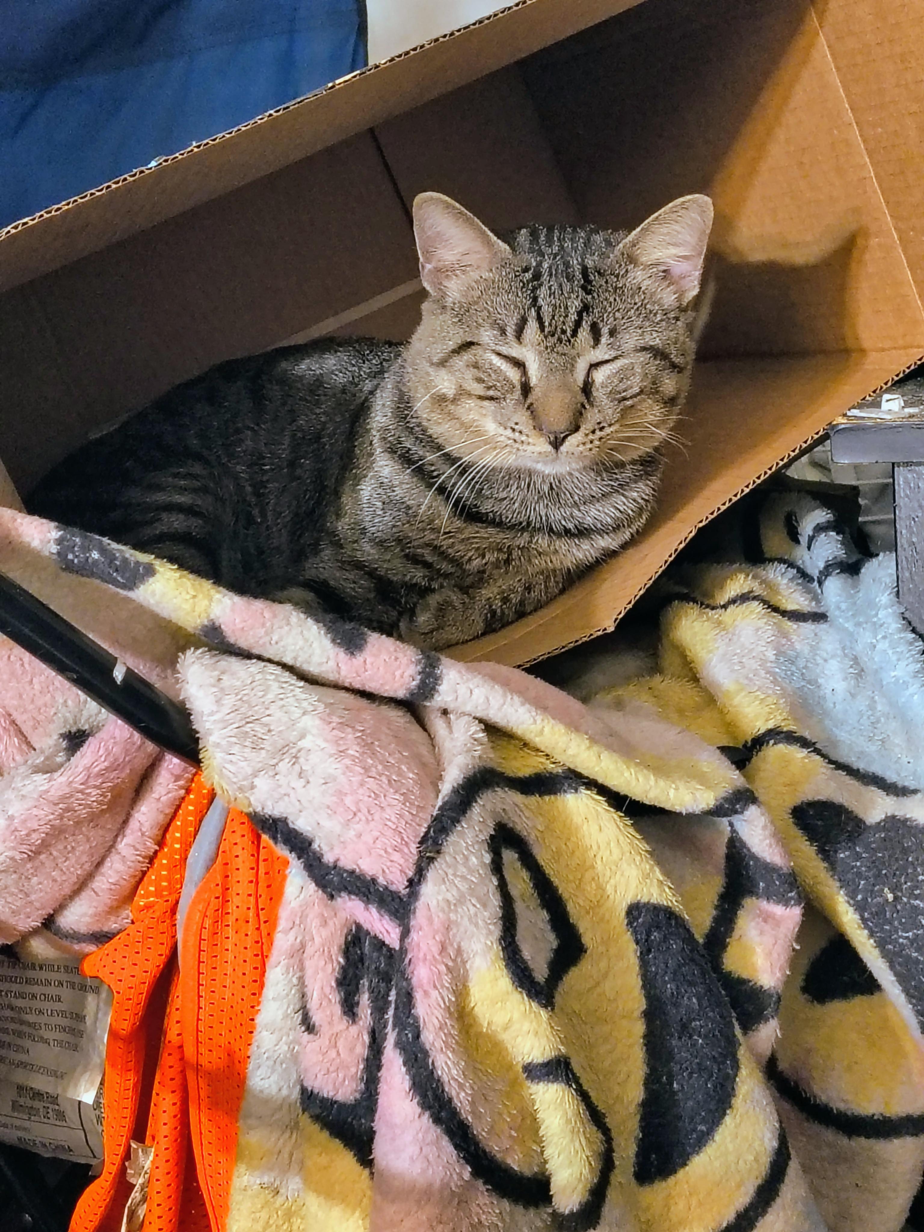 Mick is such a funny Cutie | Scrolller