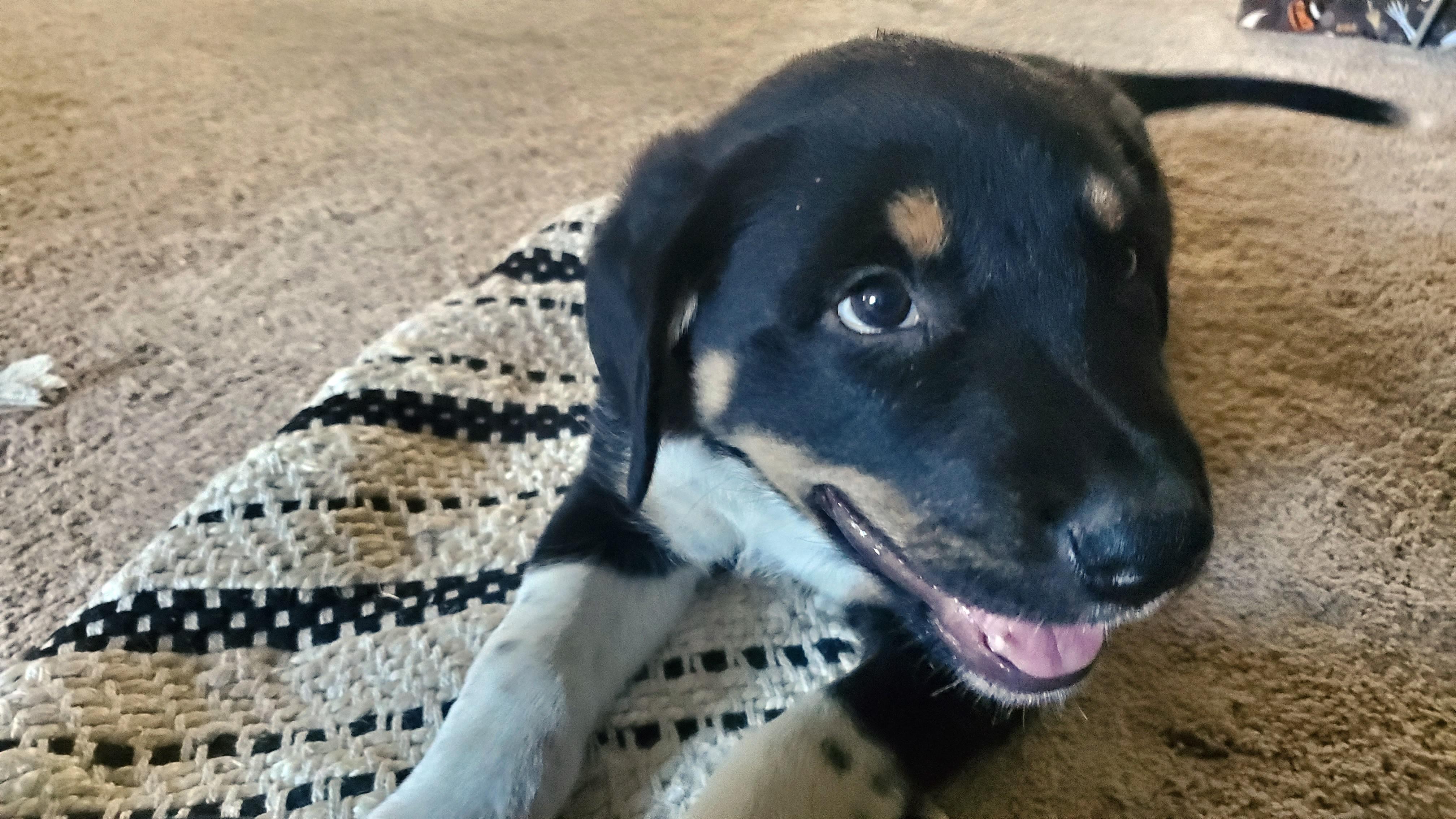 Baby Mika | Scrolller