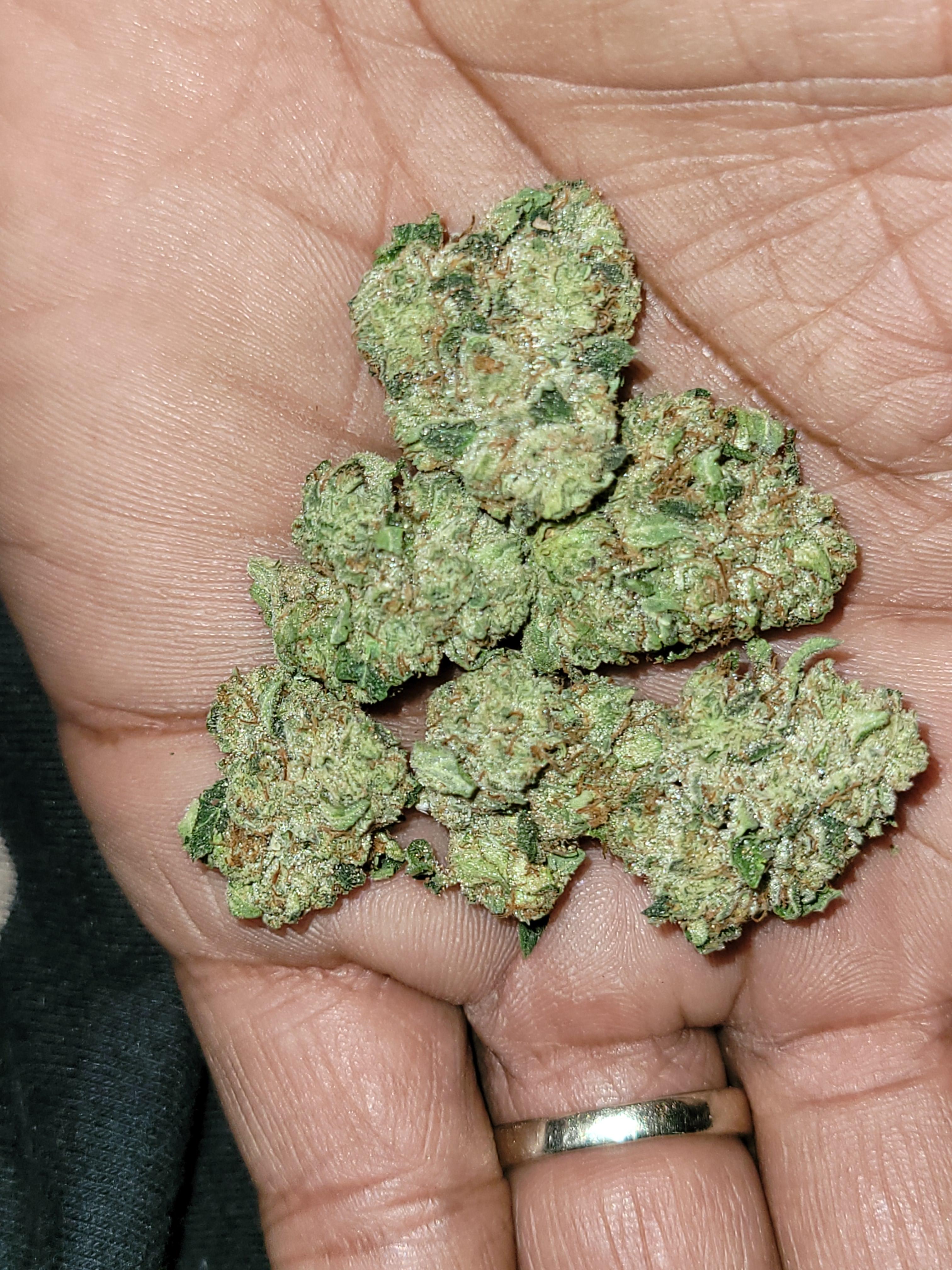 White Walker | Scrolller