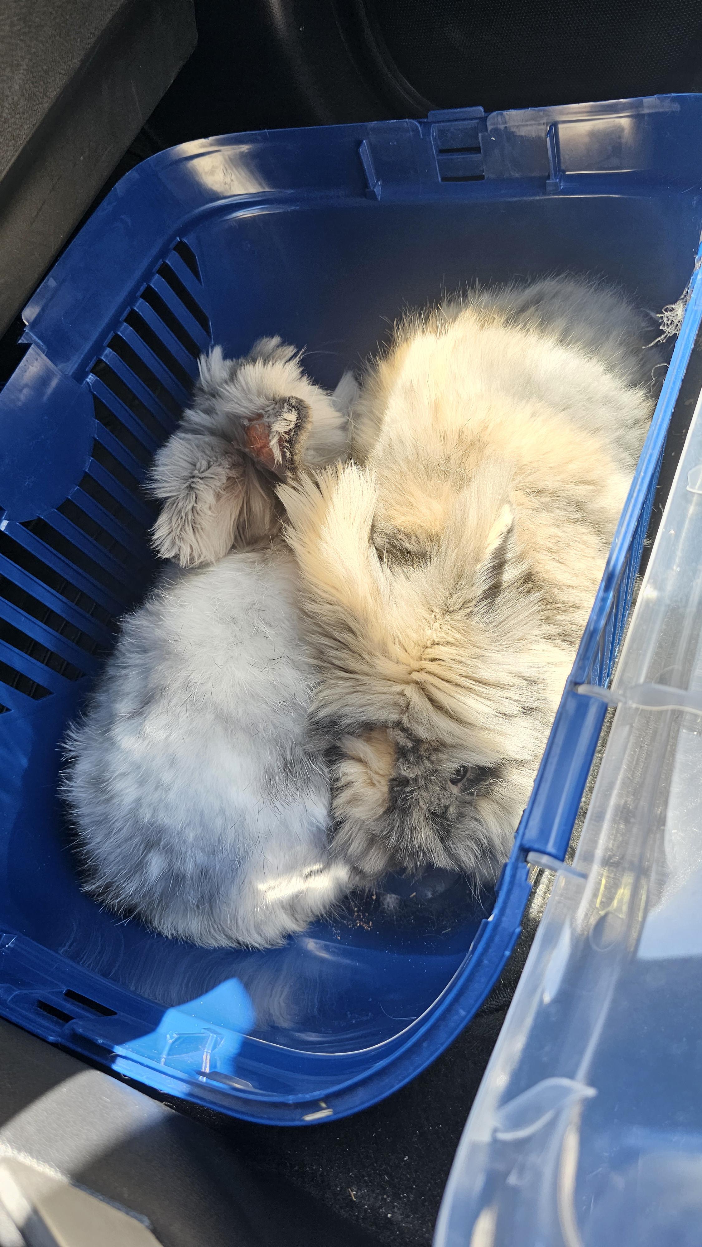 Done with round two of shots!! | Scrolller