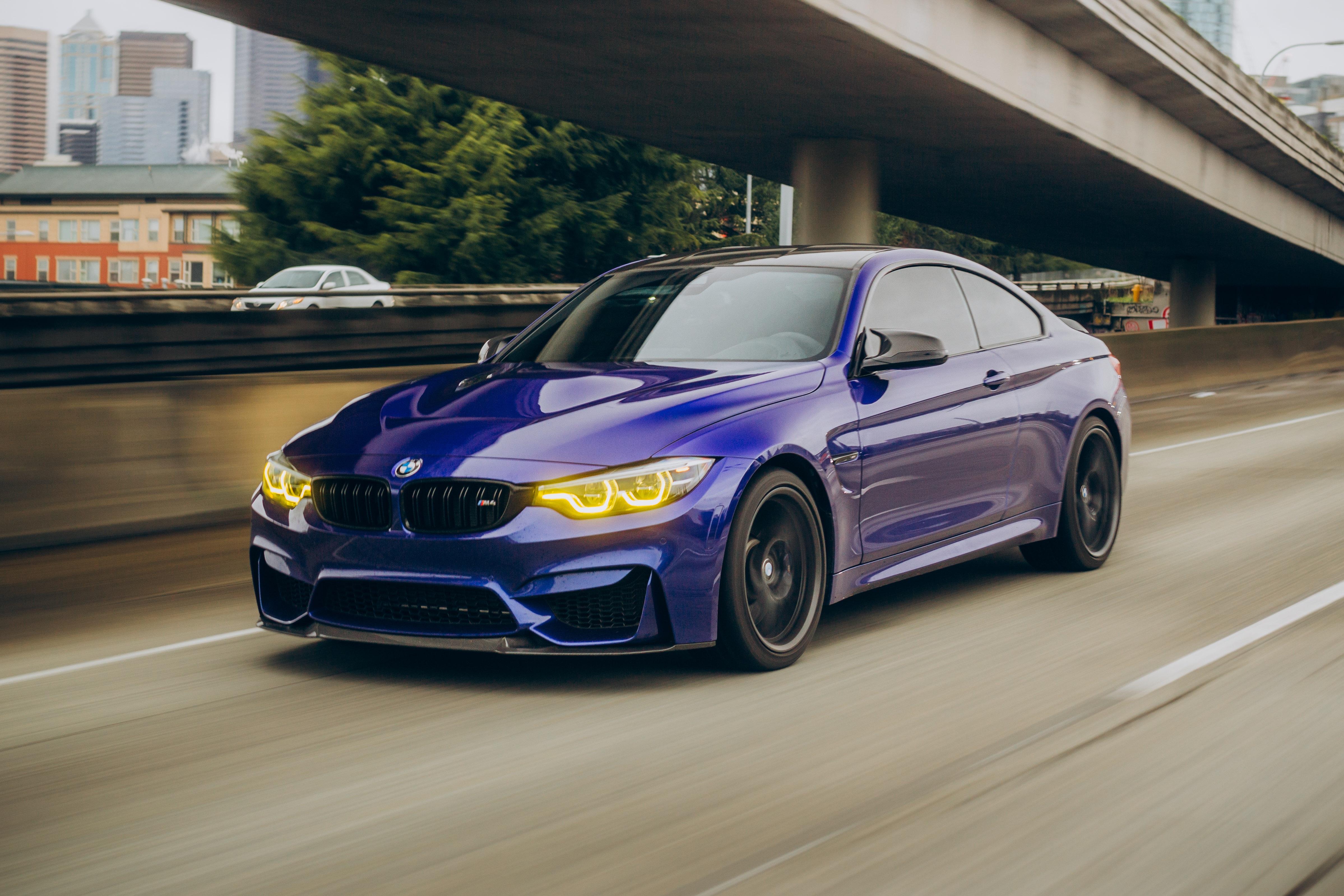 Which one to frame? | Scrolller