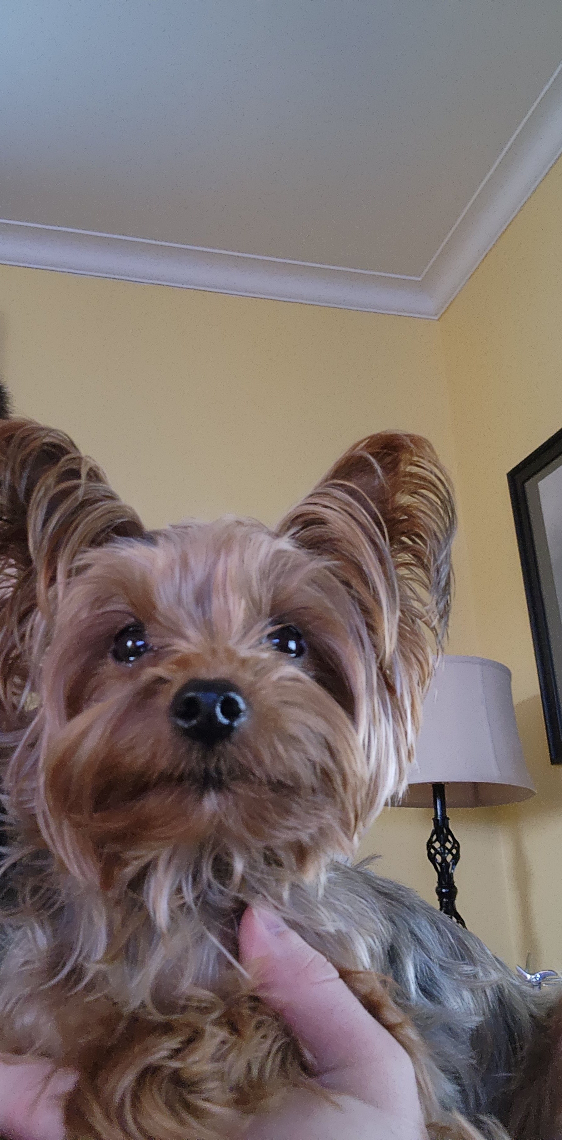 [OC] Her name is Winnie | Scrolller