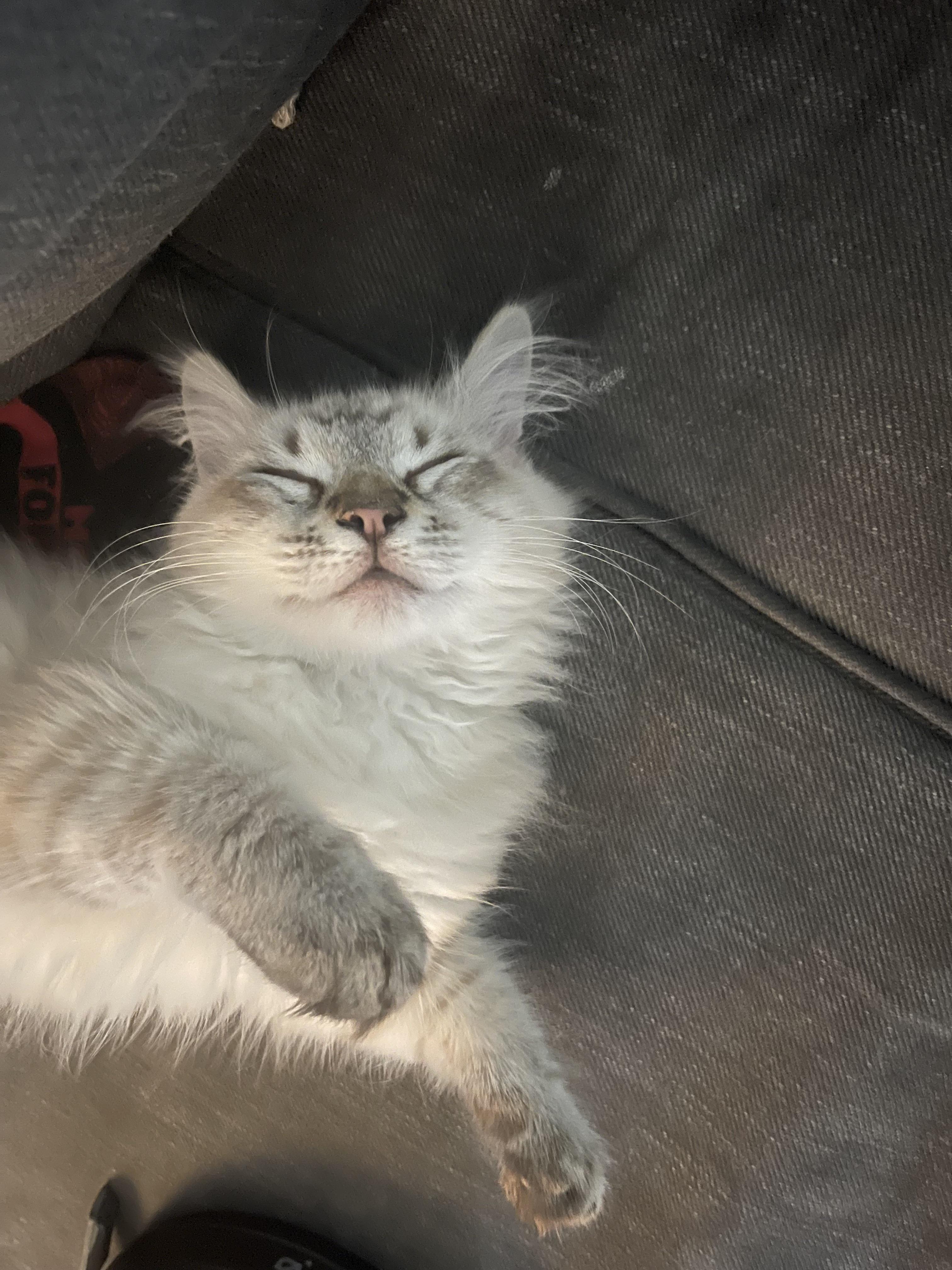 Kids make him tired | Scrolller