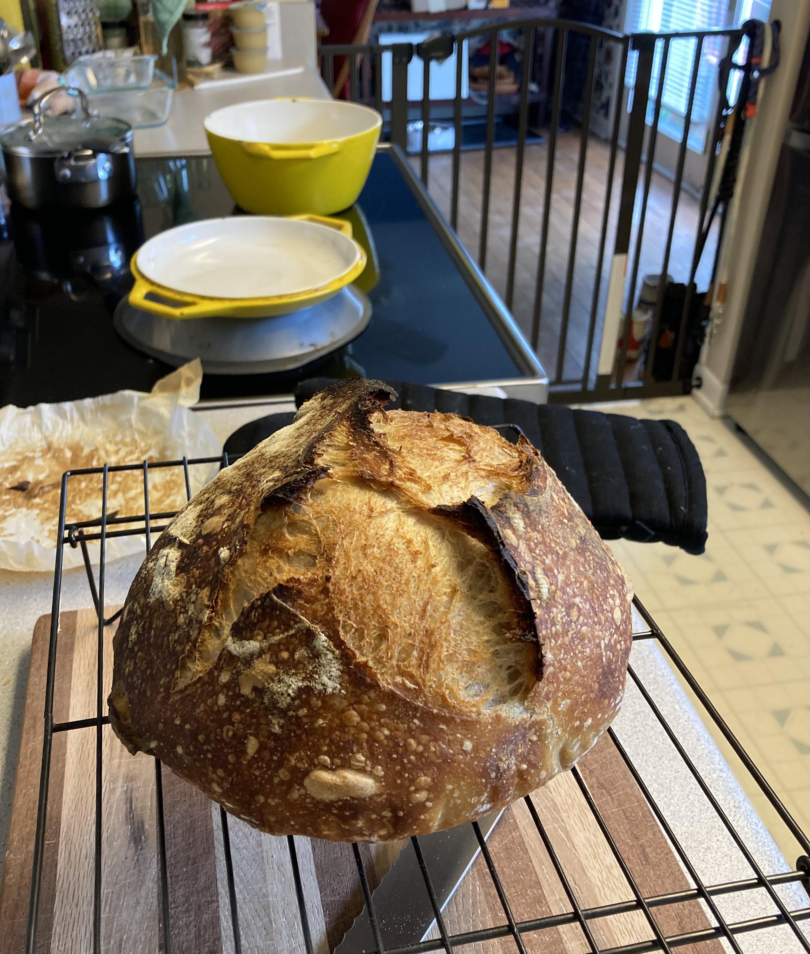Some of the last sourdough loaves I baked… | Scrolller