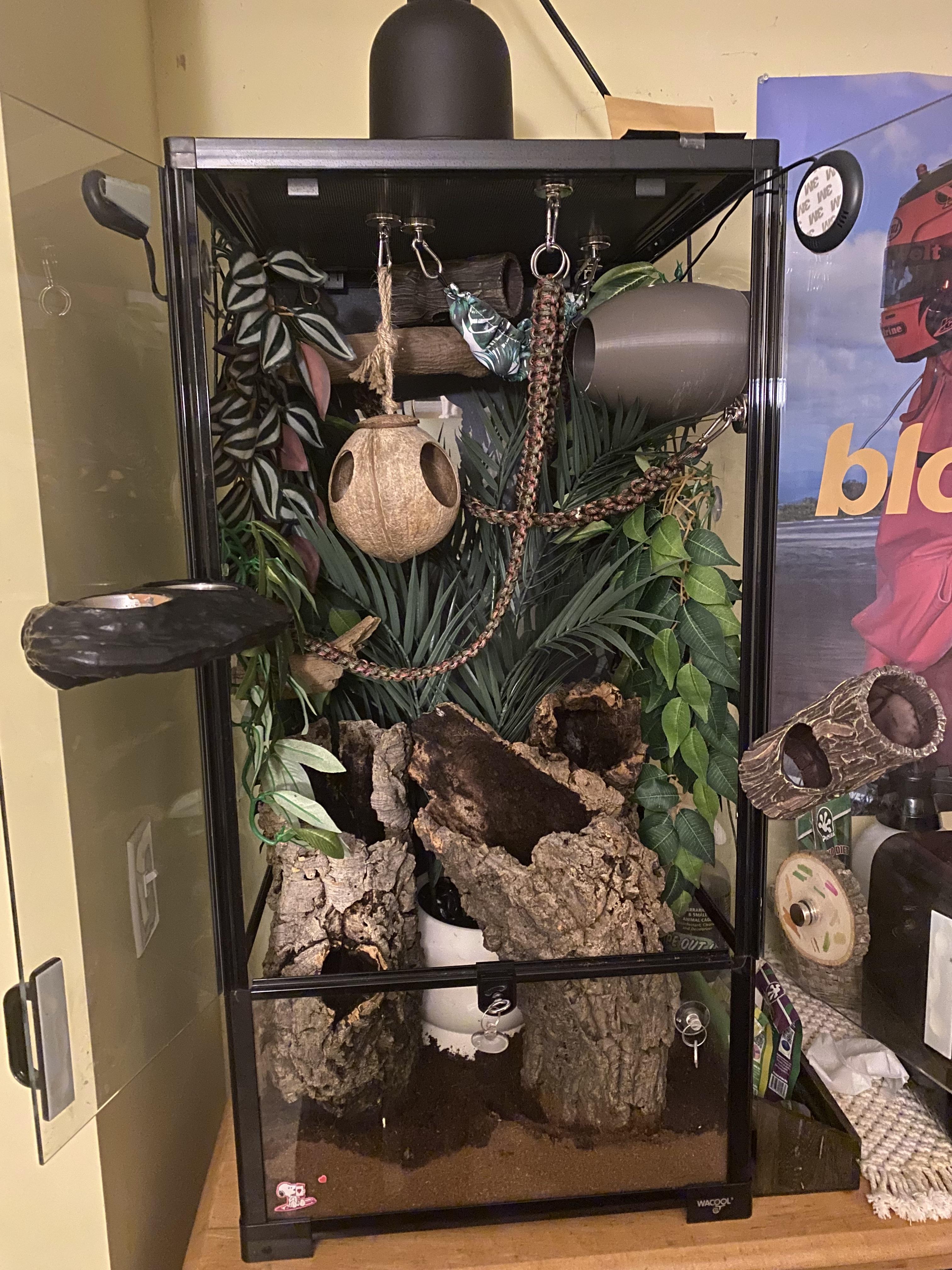 Rate my enclosure? | Scrolller