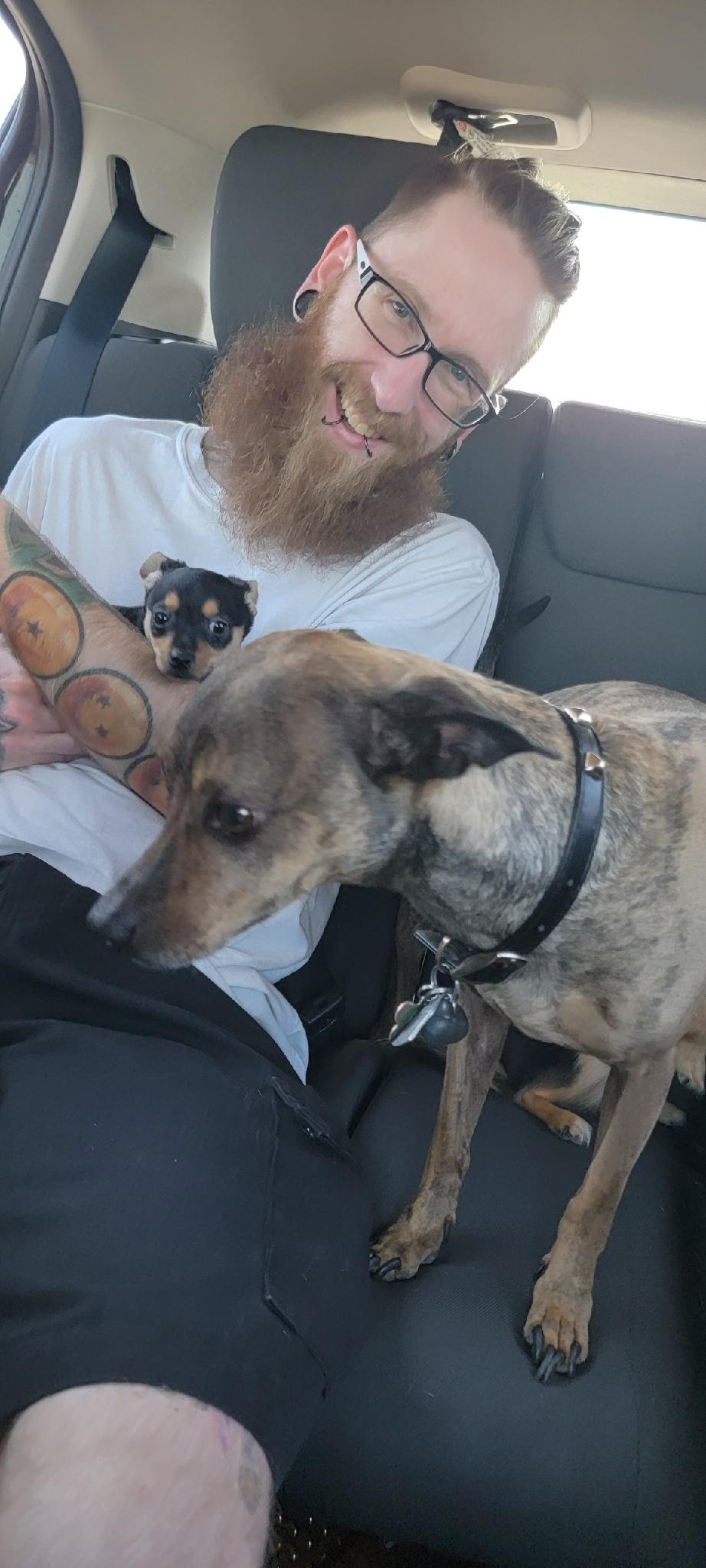 Buster Badass Benson!!!! | Scrolller