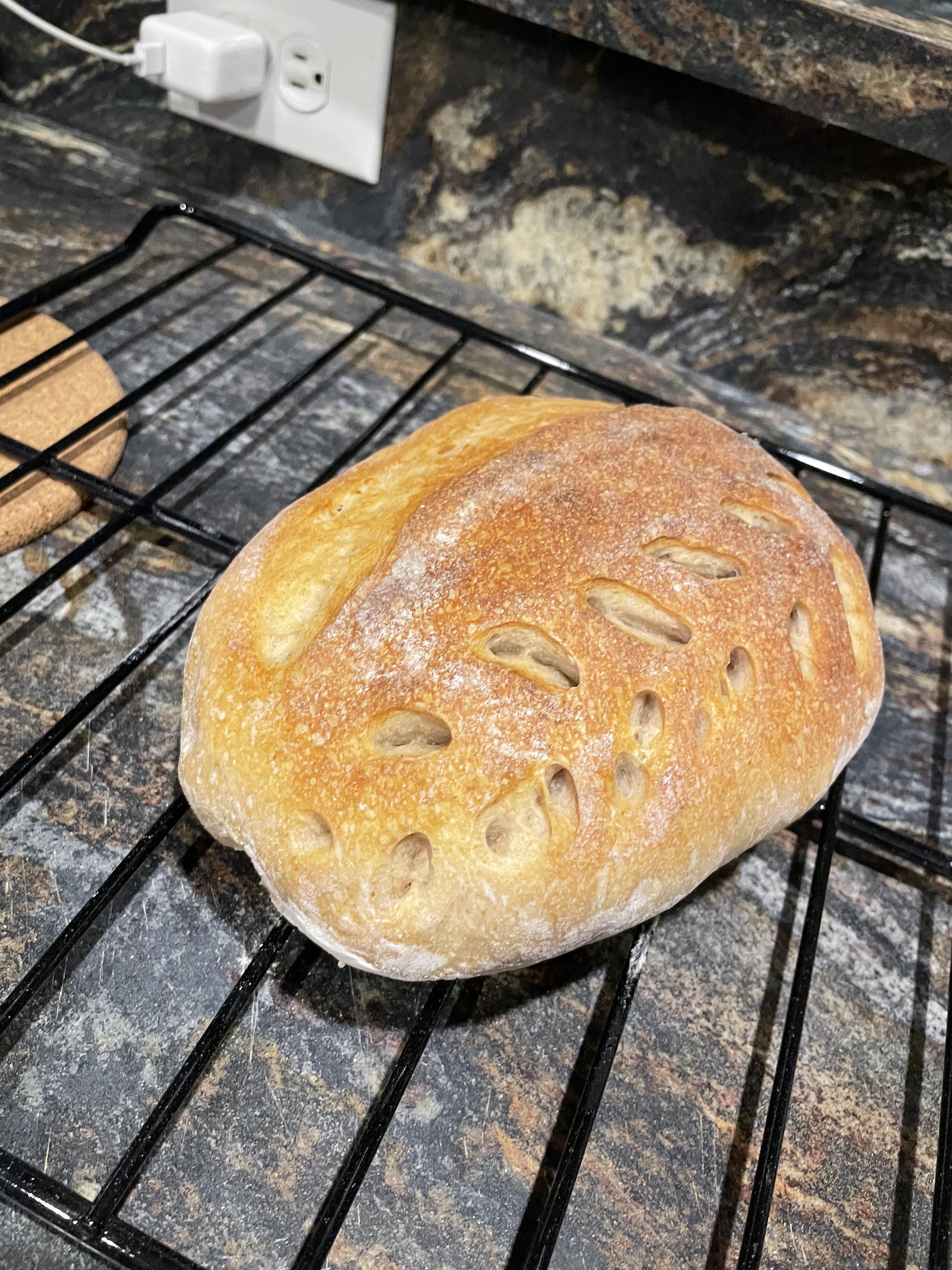 First ever loaf | Scrolller