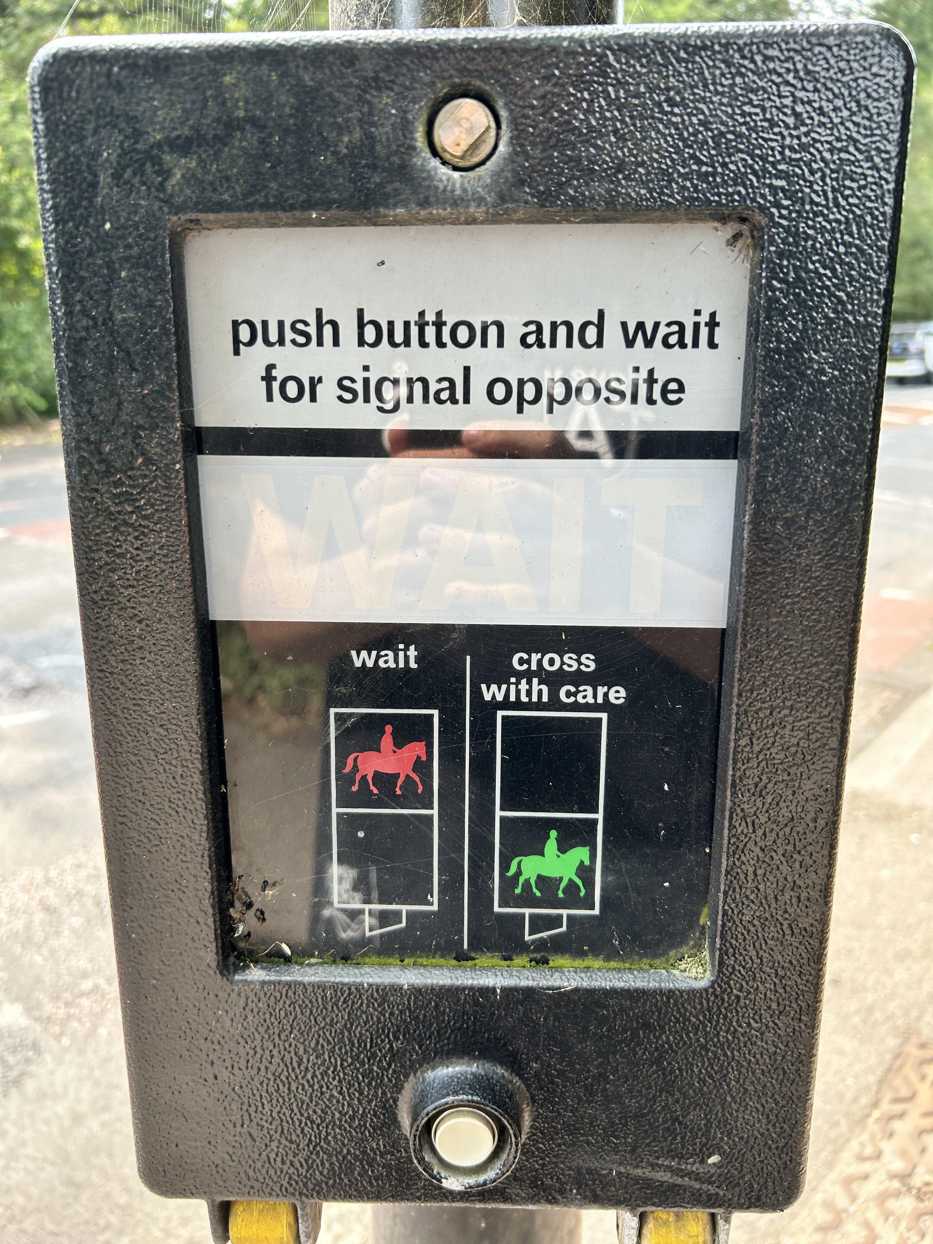 Anyone else ever seen these? Crossings for horses | Scrolller