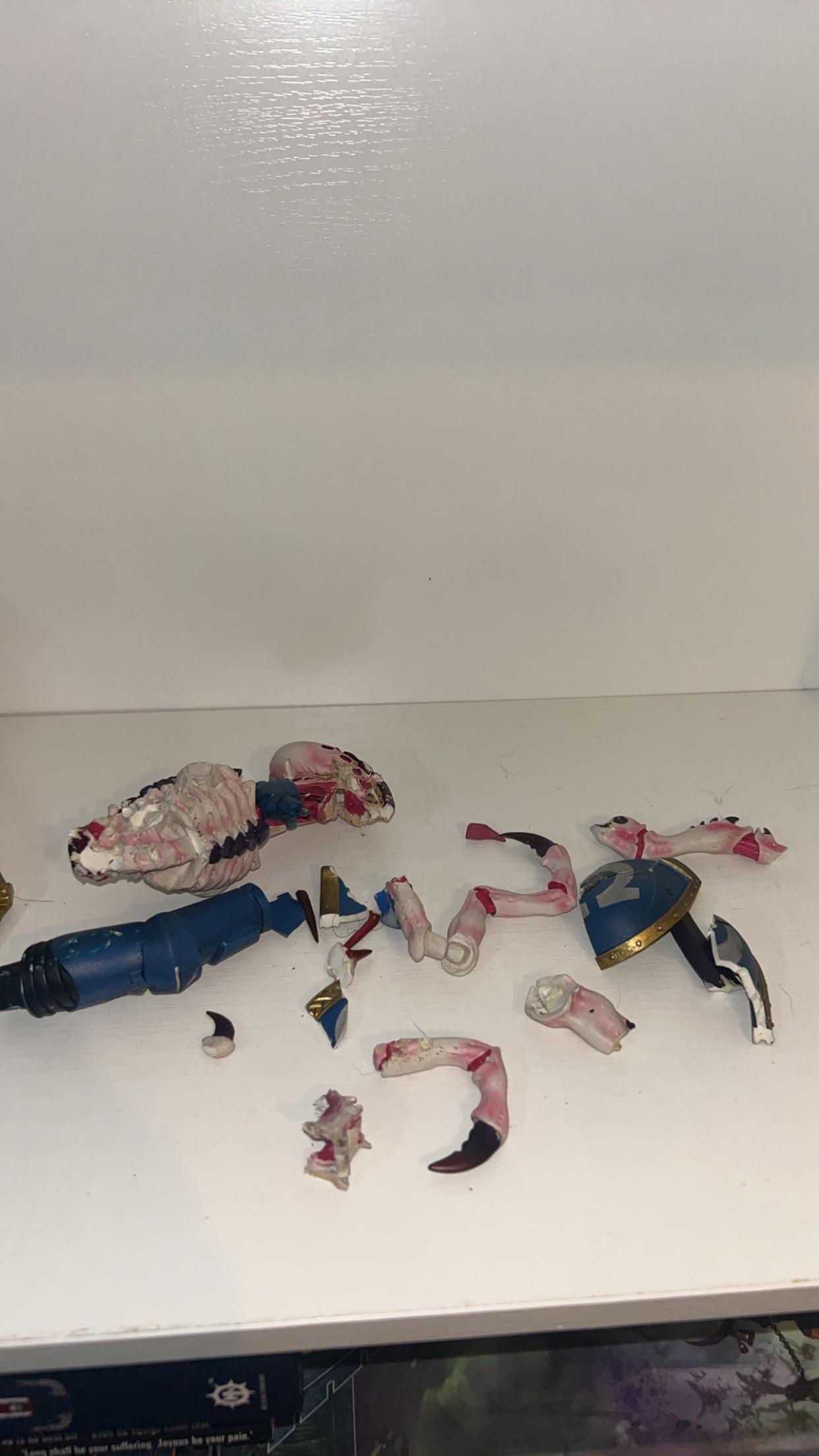 Dog attack | Scrolller