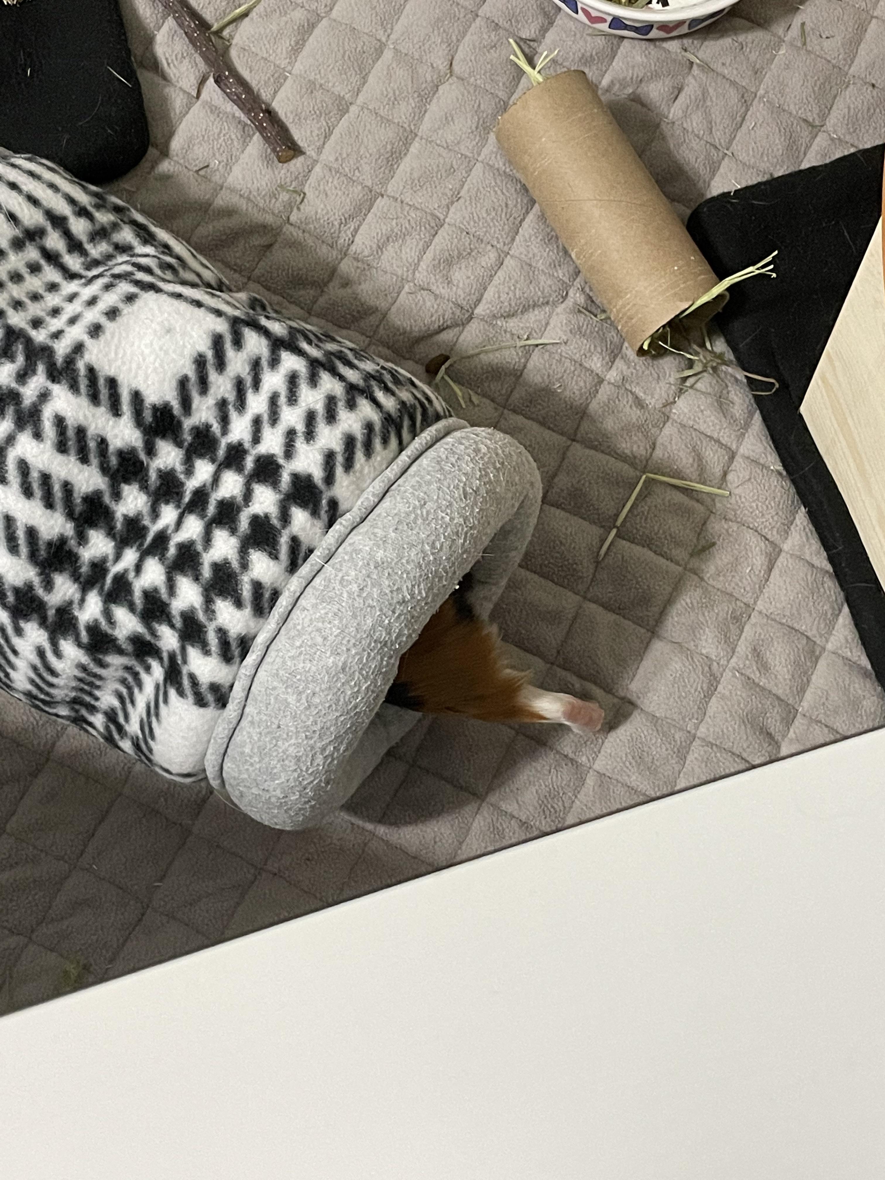 Ain’t no thang like a chicken wang | Scrolller