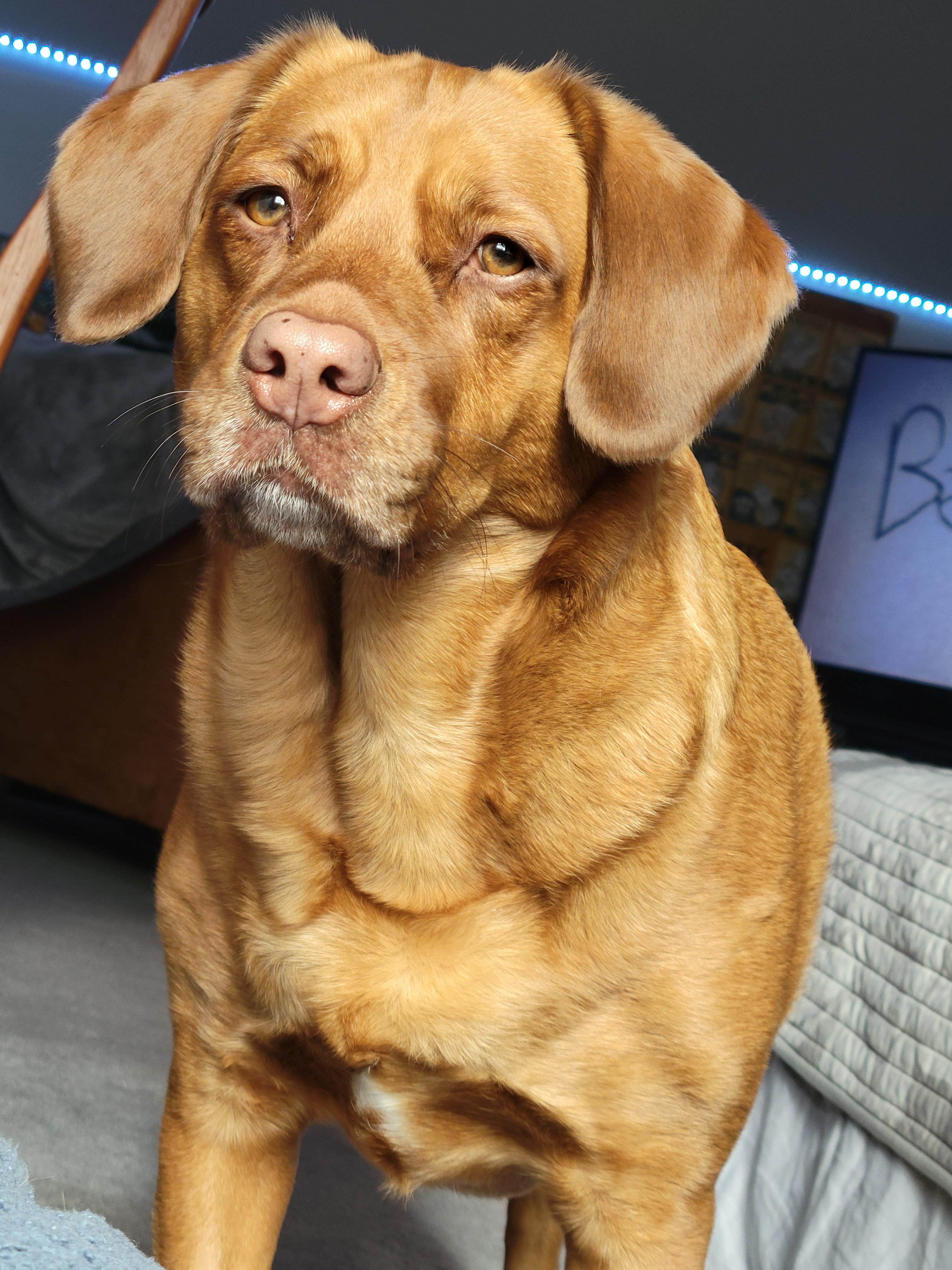 What is she thinking? | Scrolller