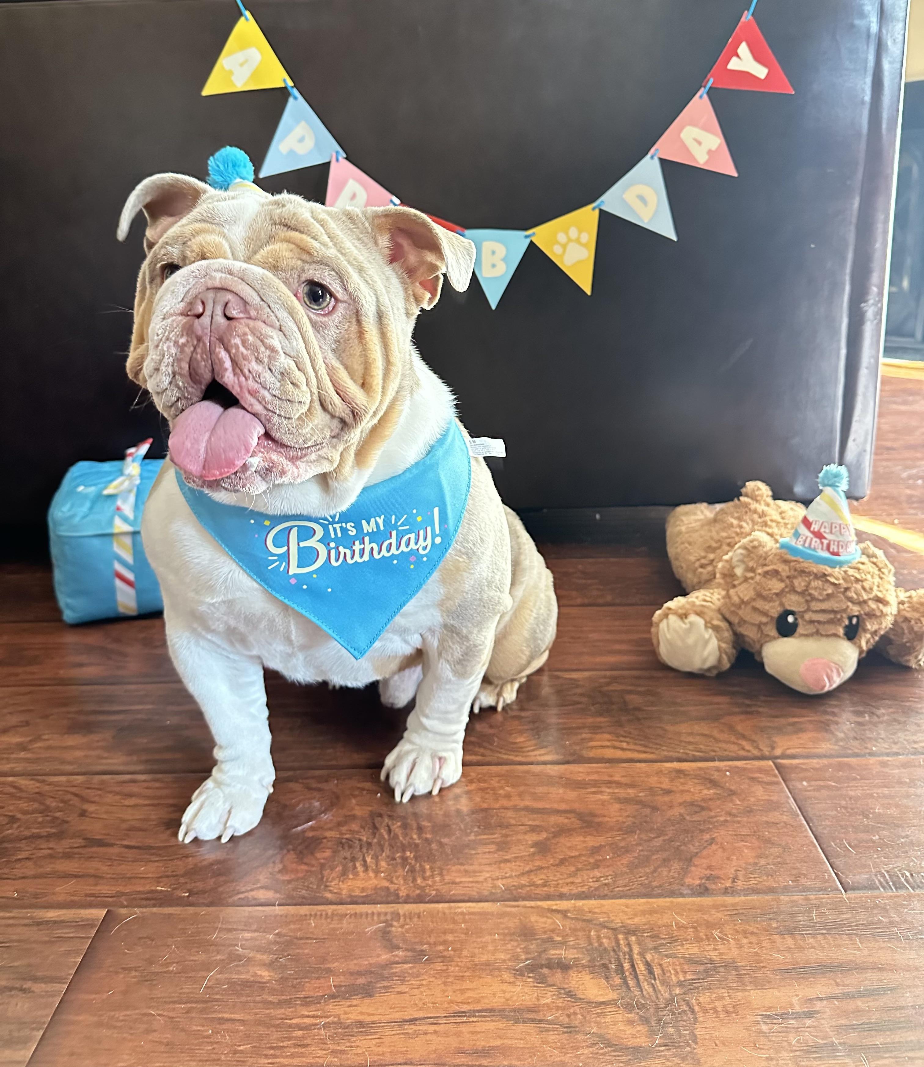 Milo’s 1st Birthday! | Scrolller