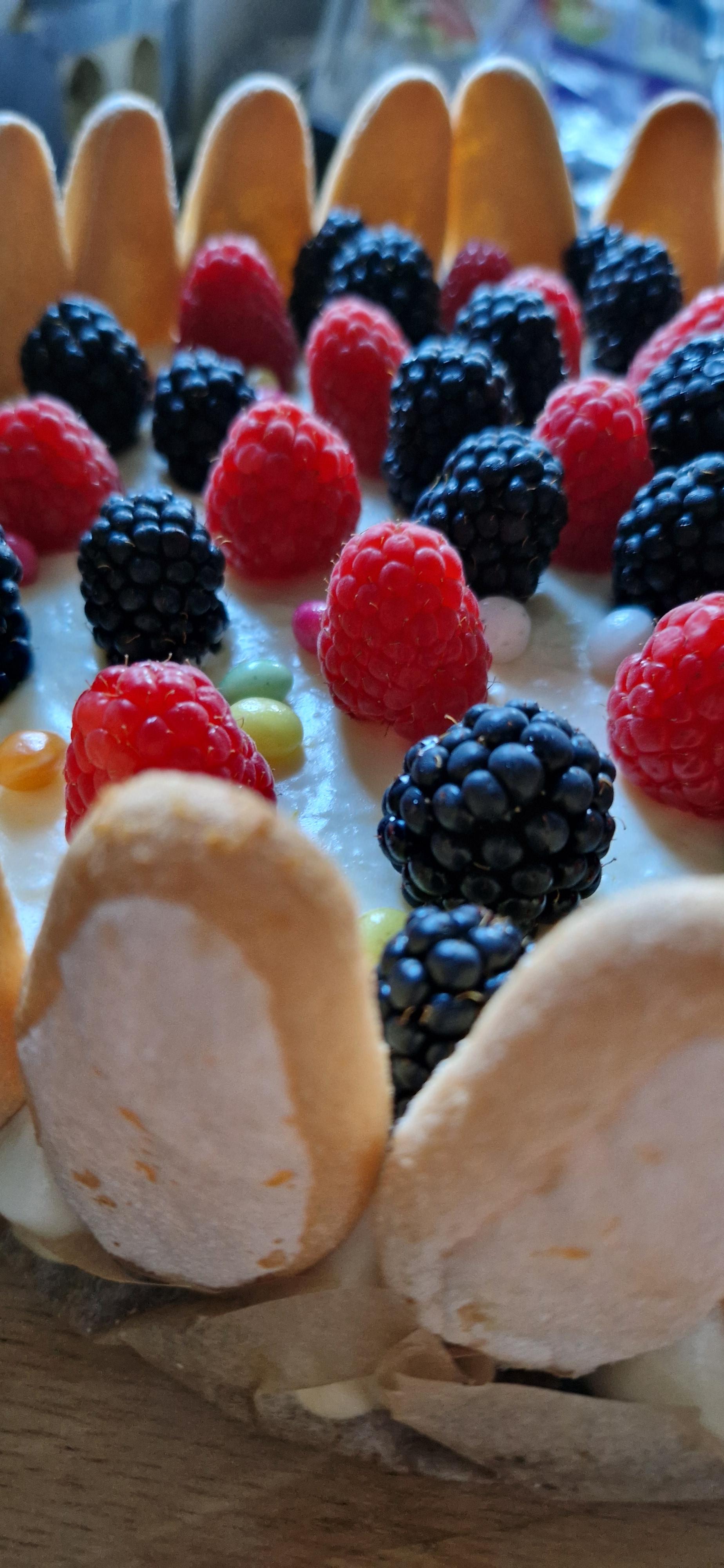 [Homemade] lemon cheesecake | Scrolller