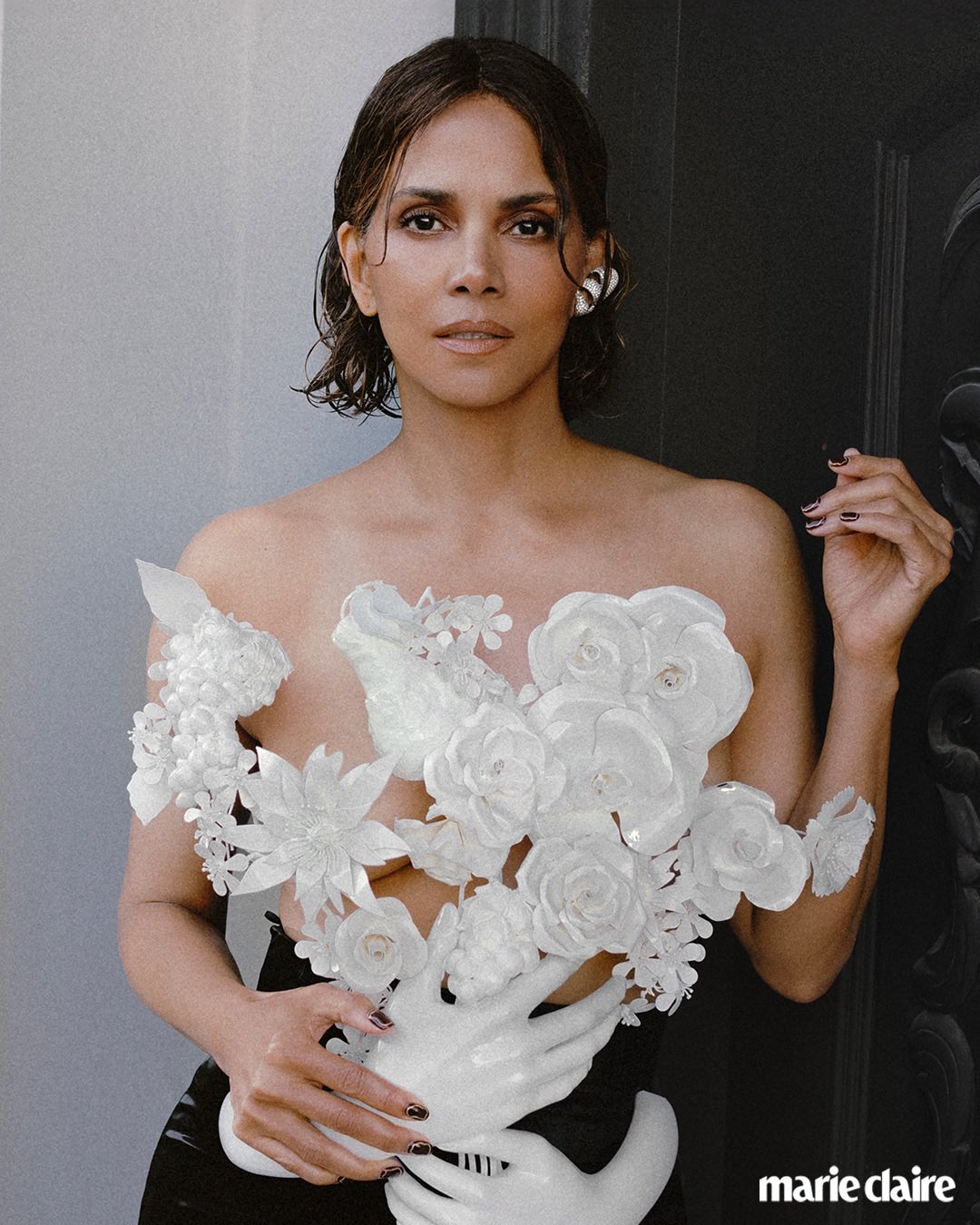 Halle Berry | Scrolller