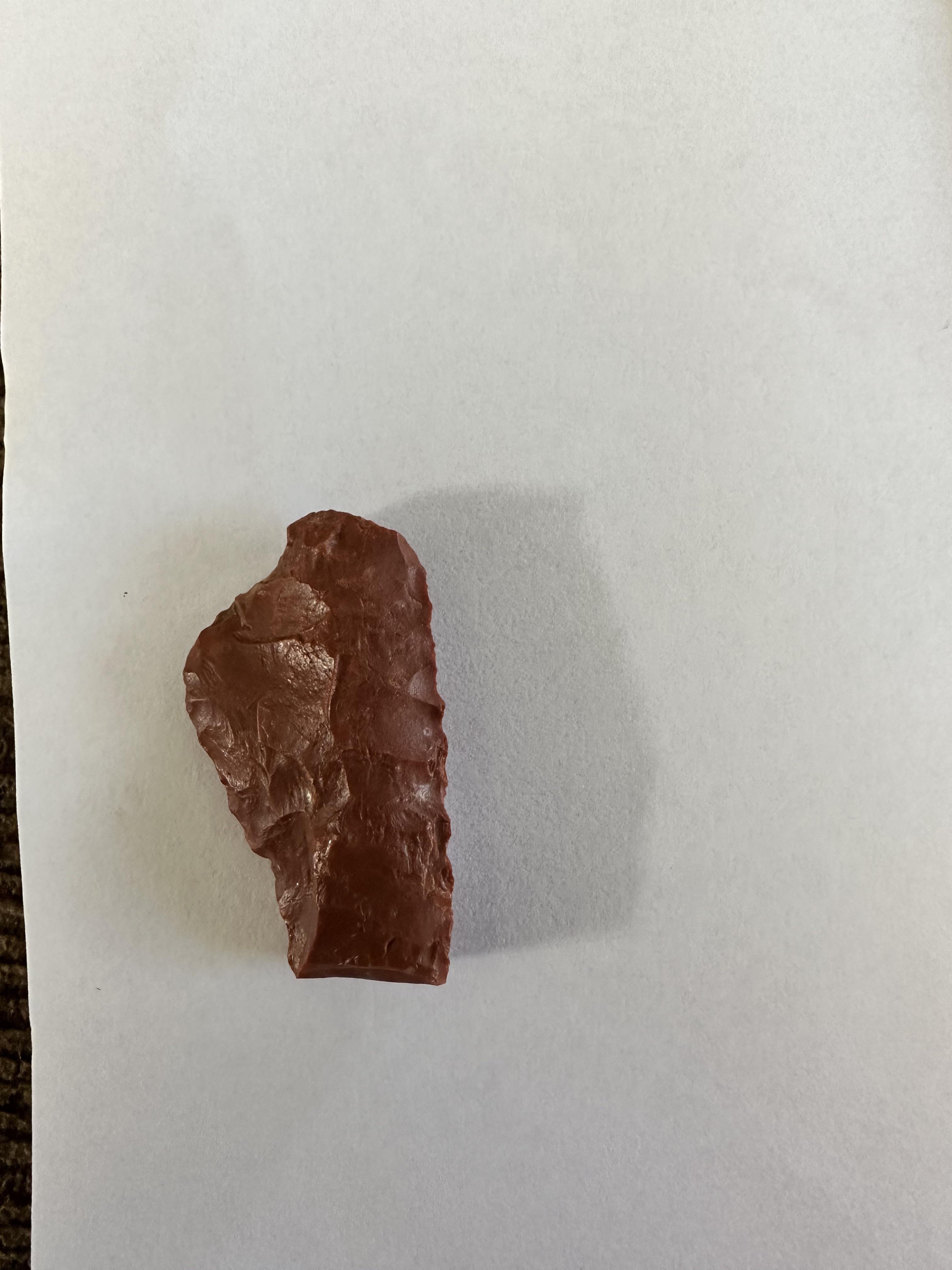 Today’s field find | Scrolller