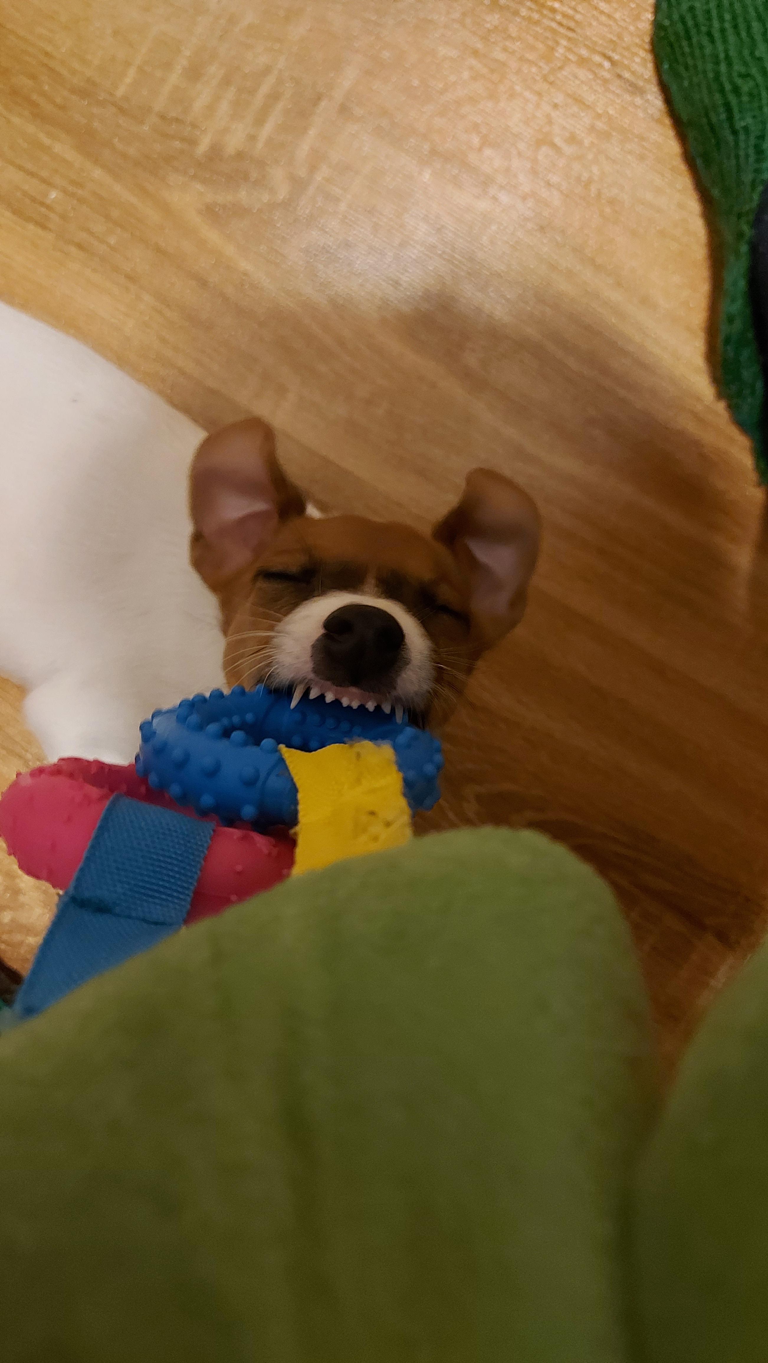 Here's Jack! | Scrolller