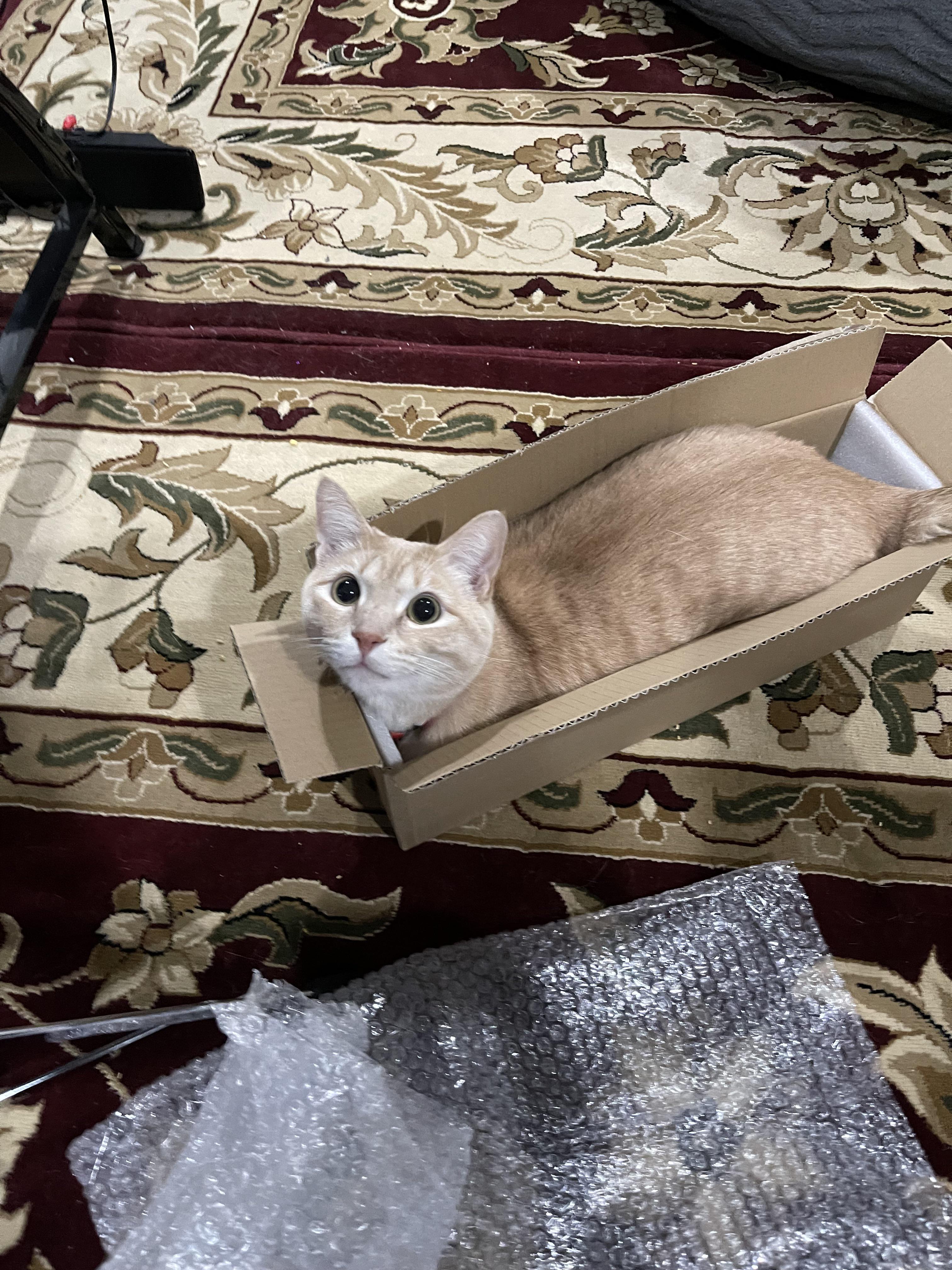 Last night’s haul was successful | Scrolller