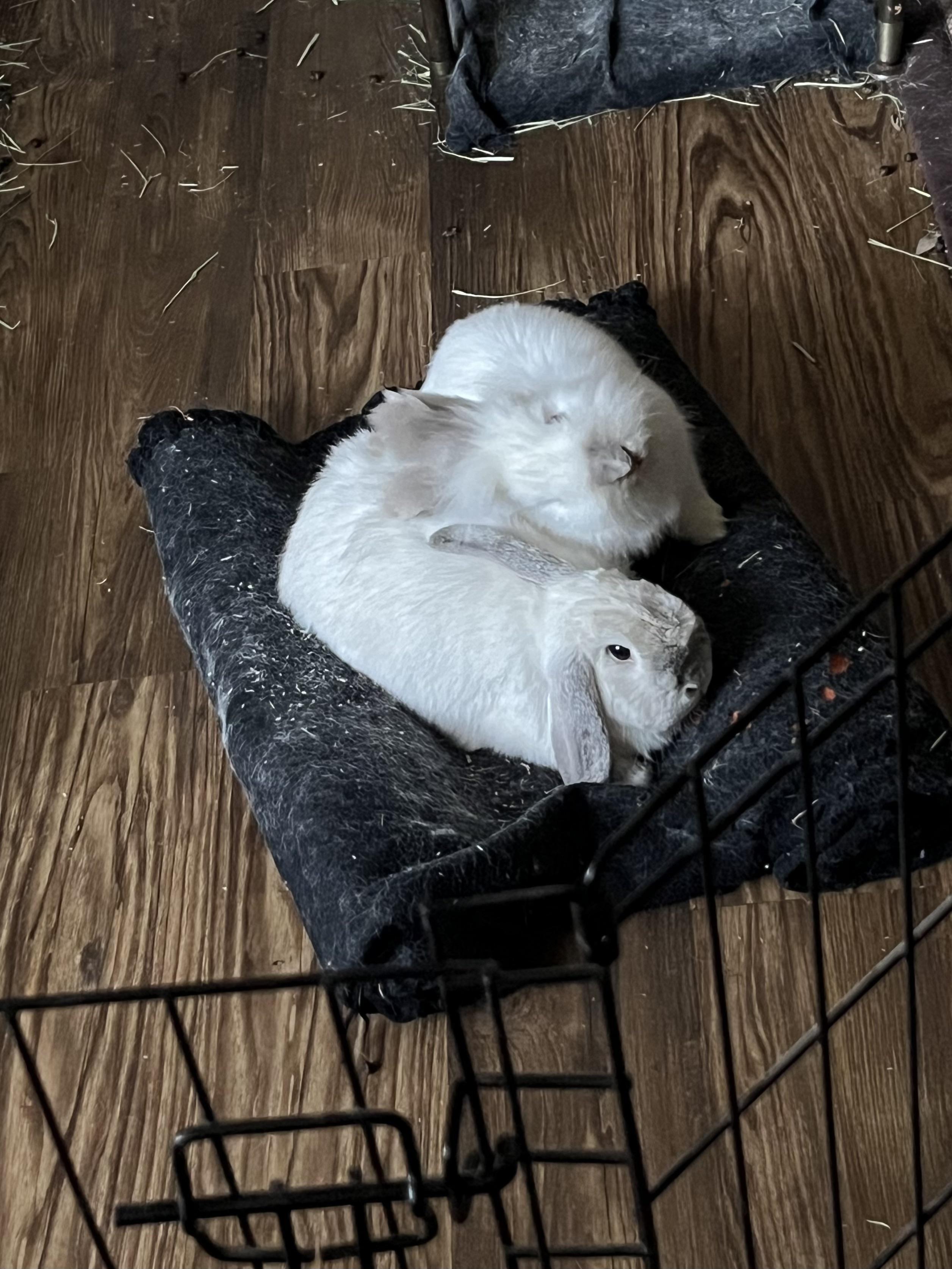 Living with head tilt | Scrolller