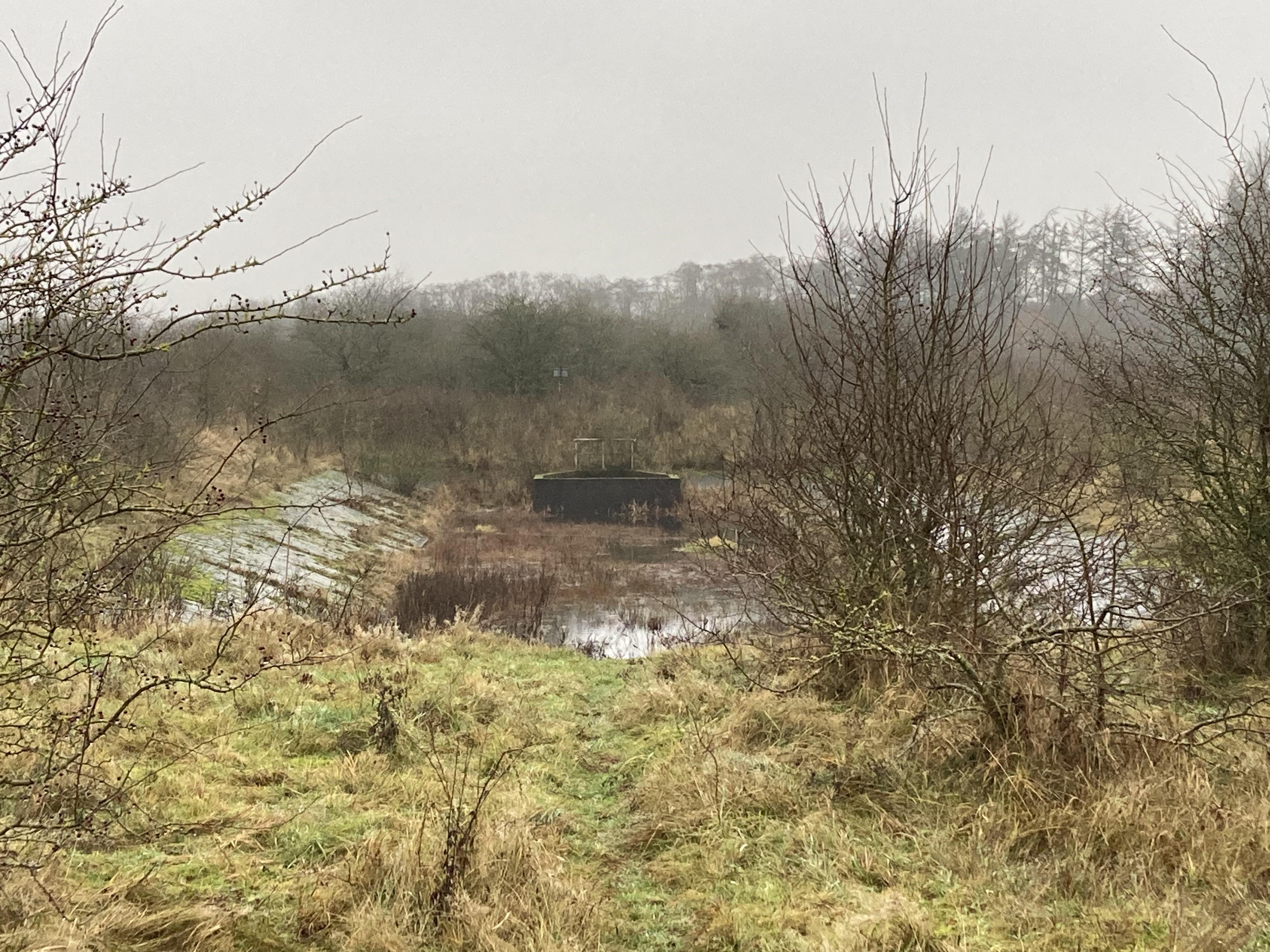 The Zone | Scrolller