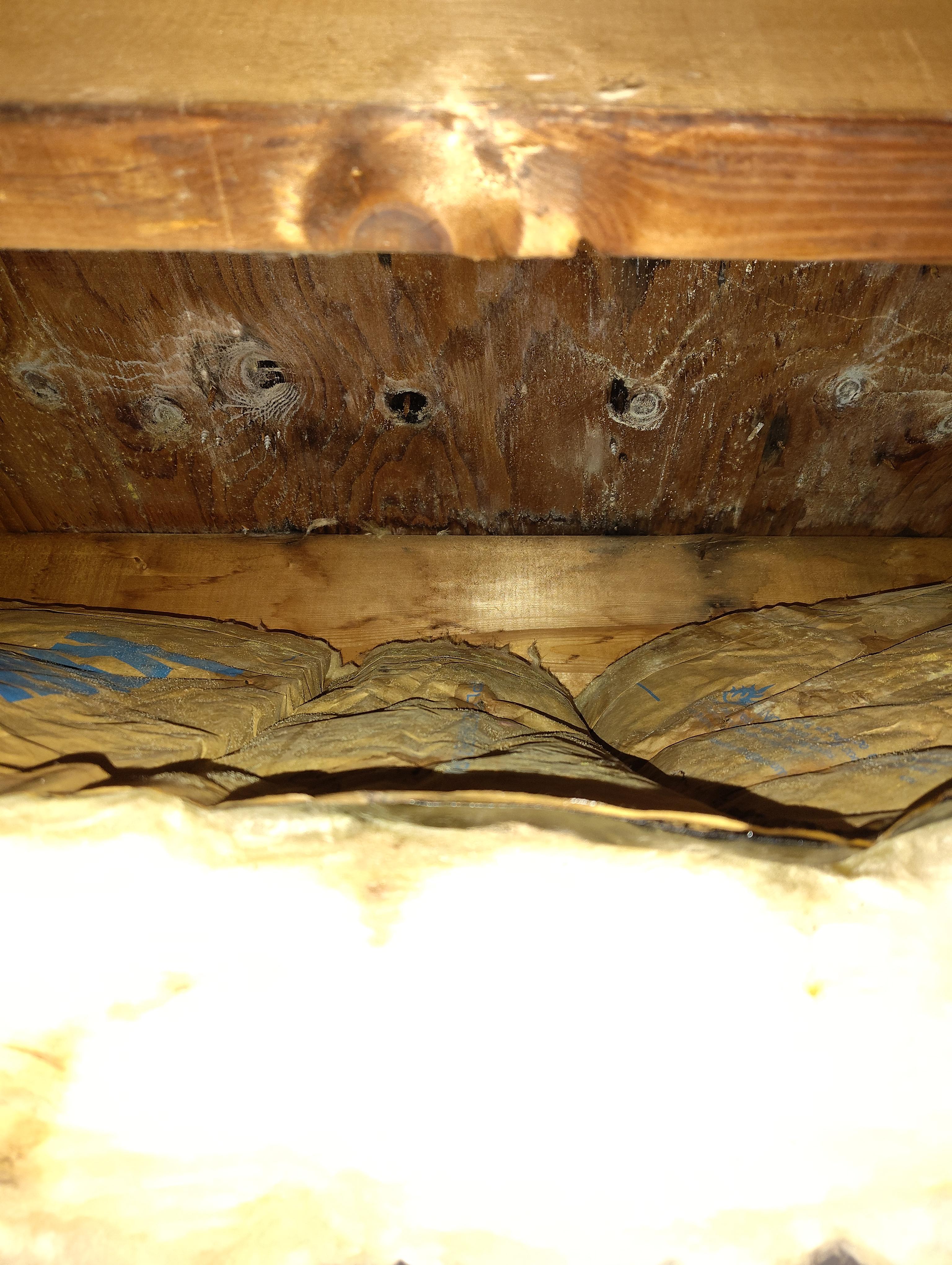 Basement Ceiling Leak | Scrolller