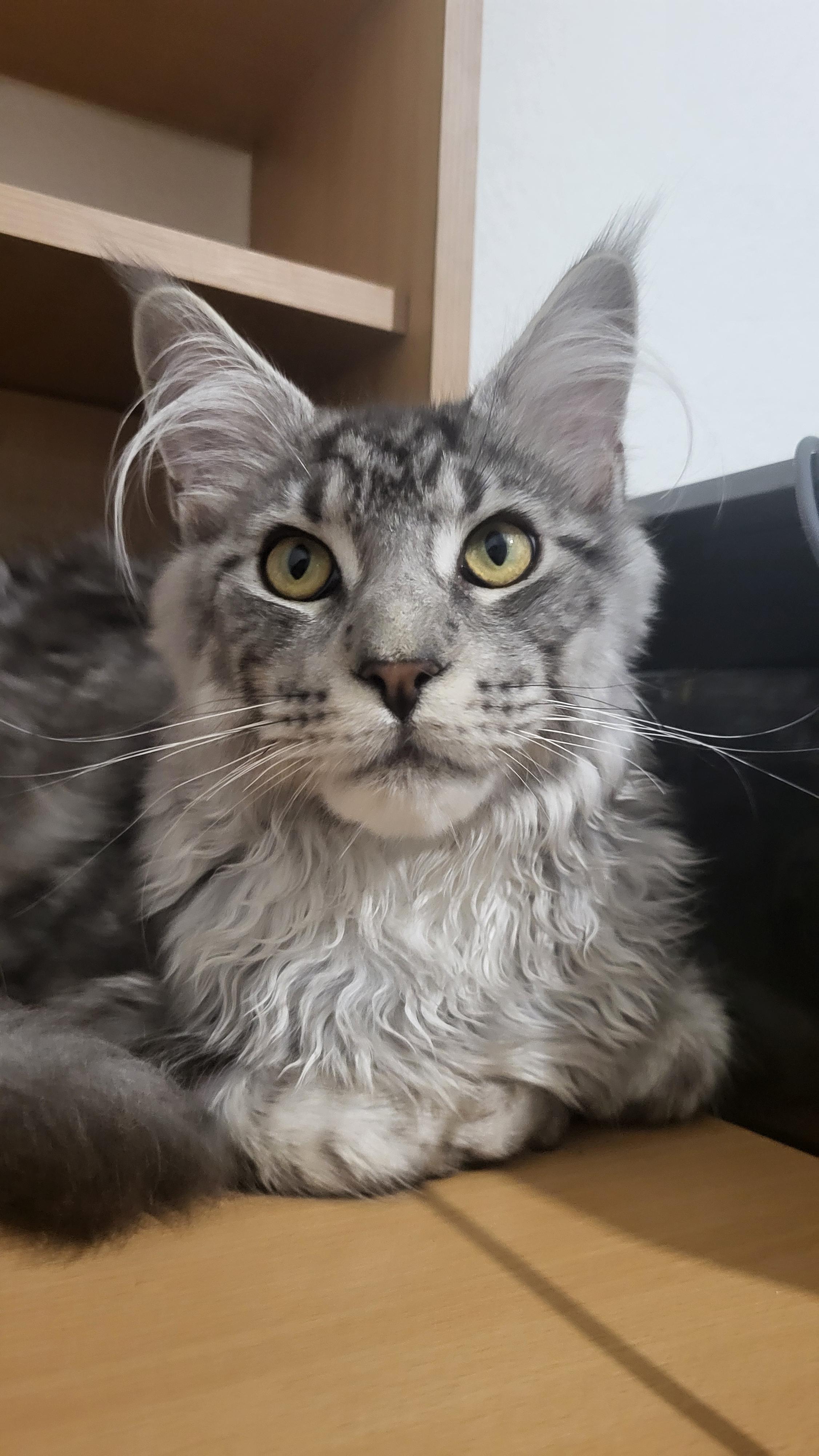 Memories | Scrolller