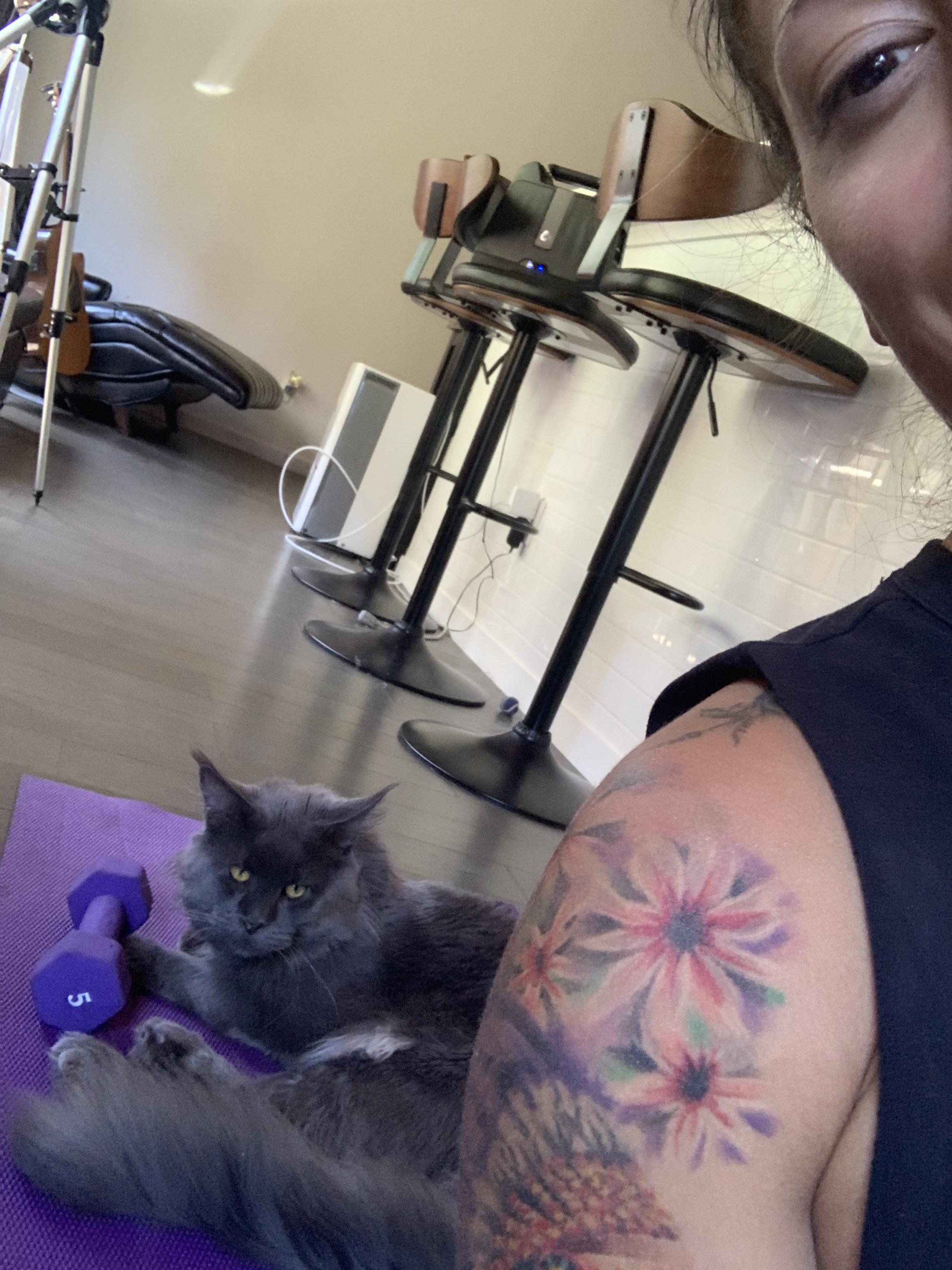 Him’s such a derp…. | Scrolller