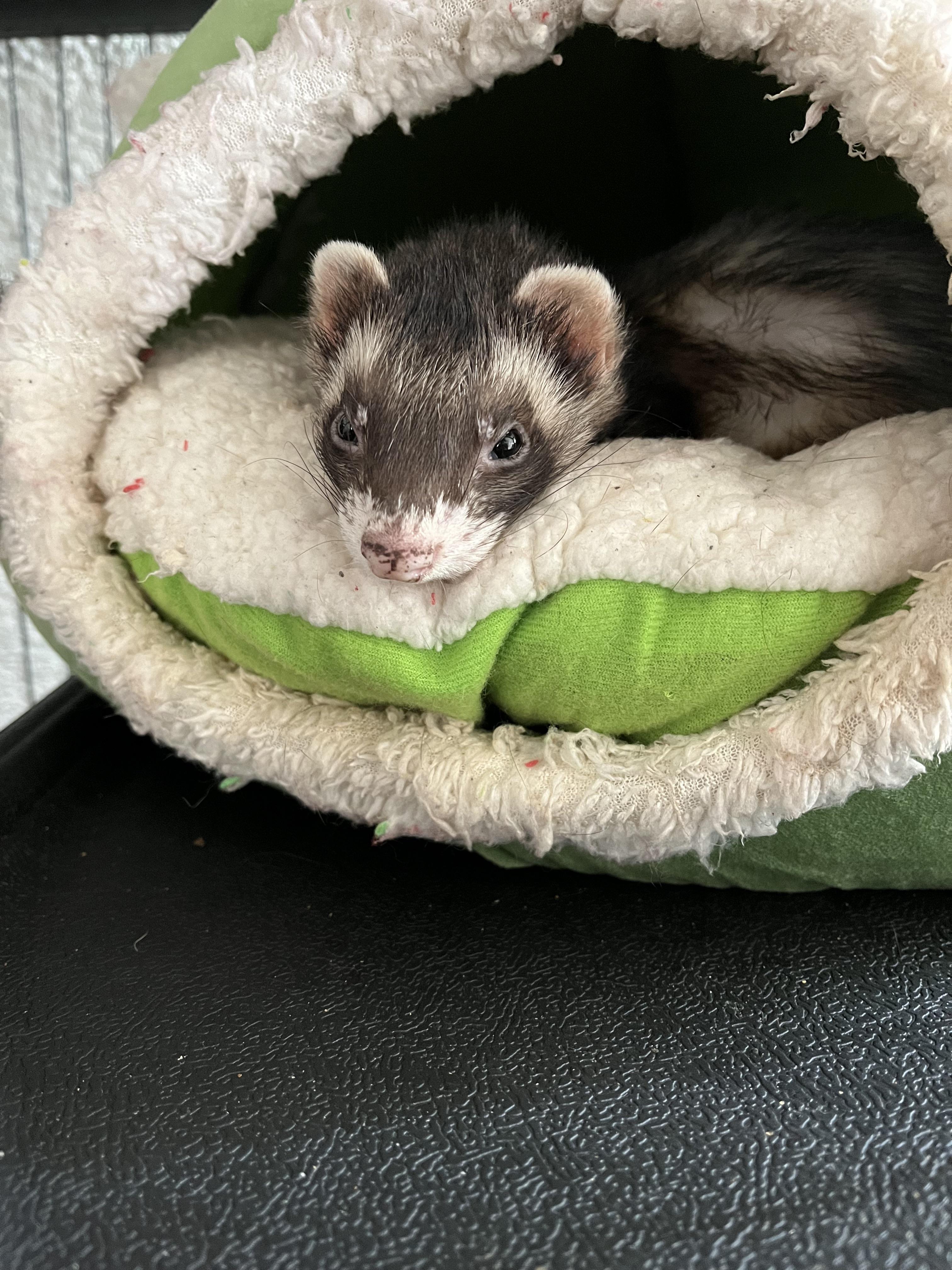 More of my babies! | Scrolller