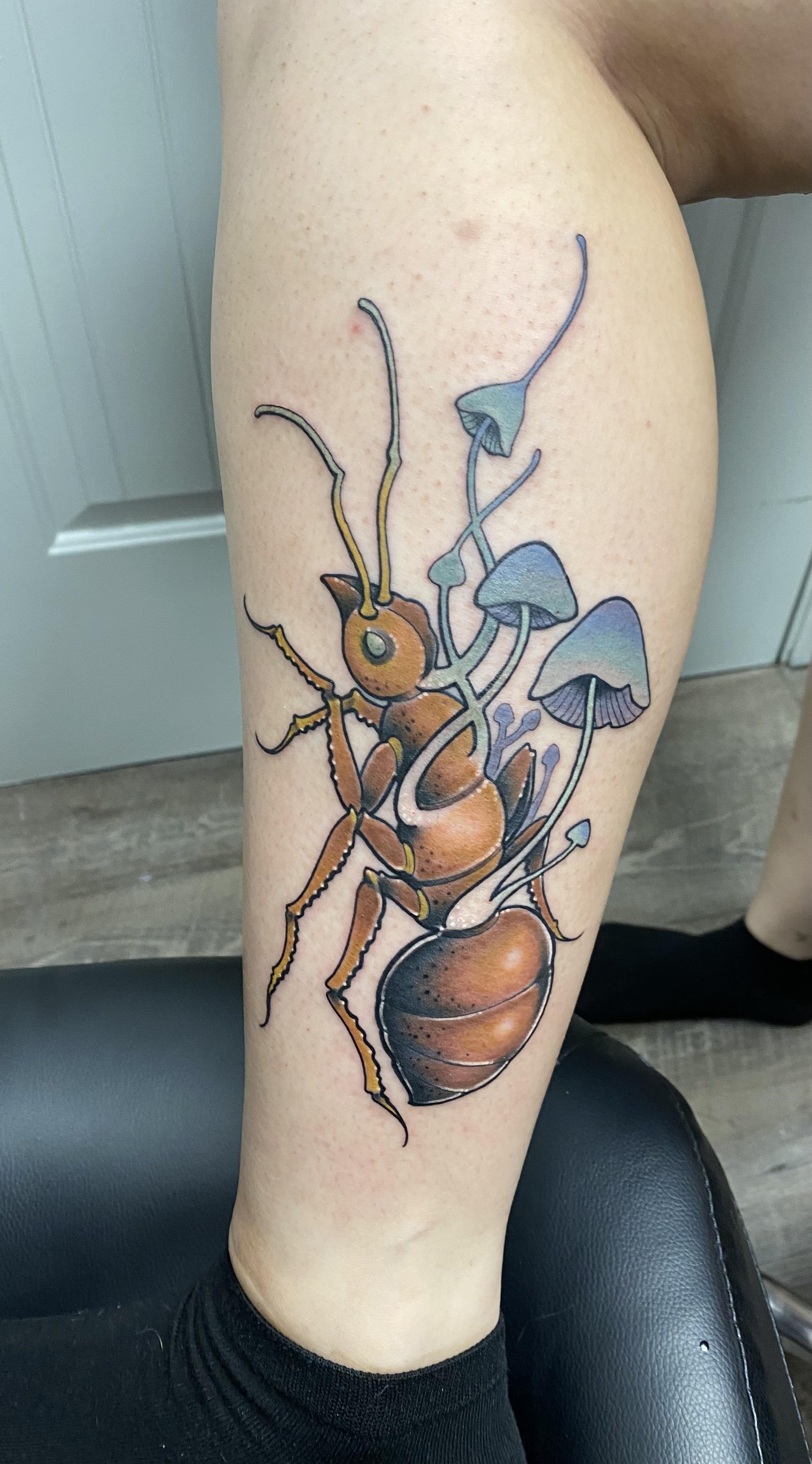 Ophiocordyceps unilateralis :) Zombie ant | Scrolller