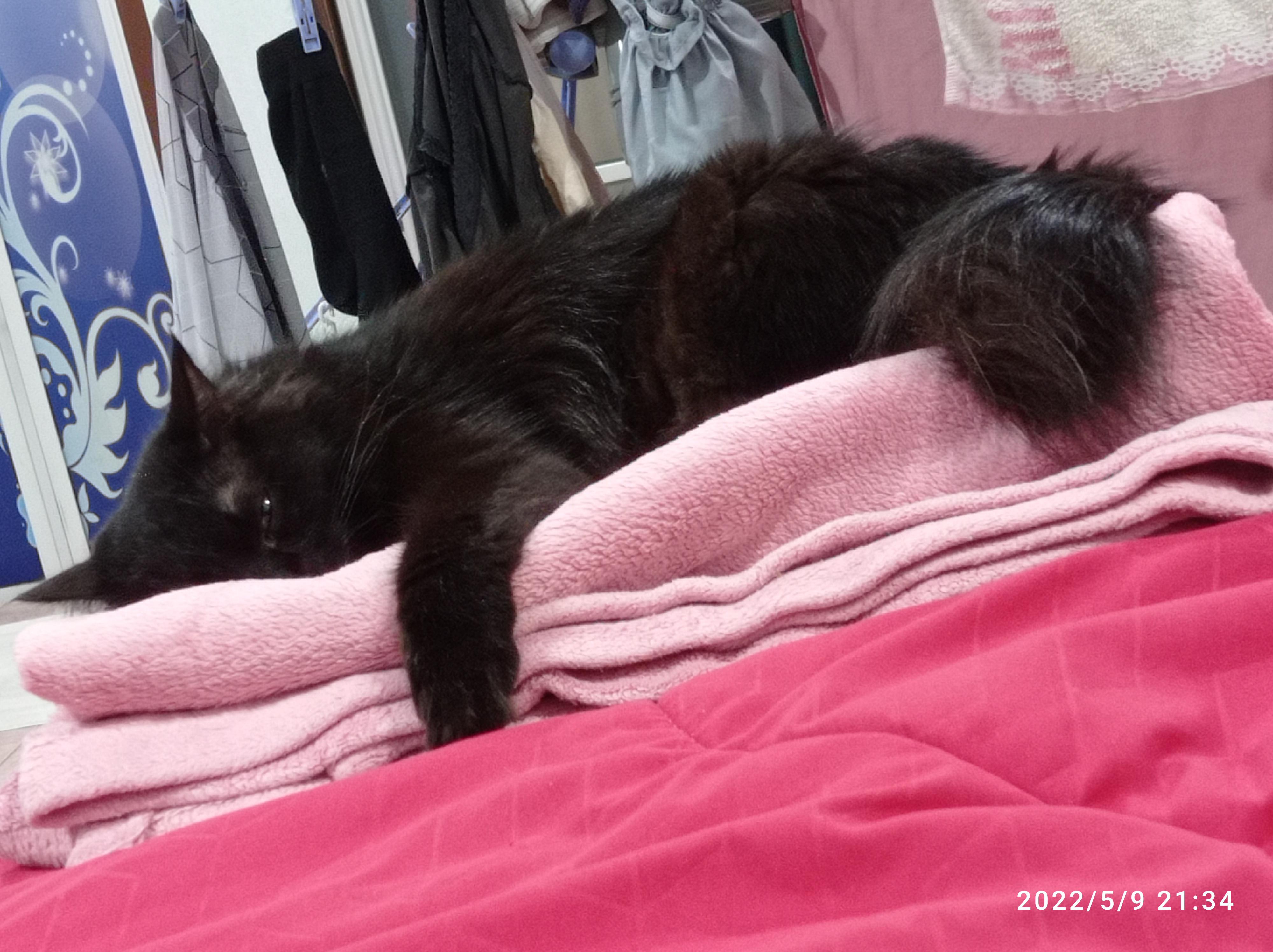 Her favourite spots | Scrolller