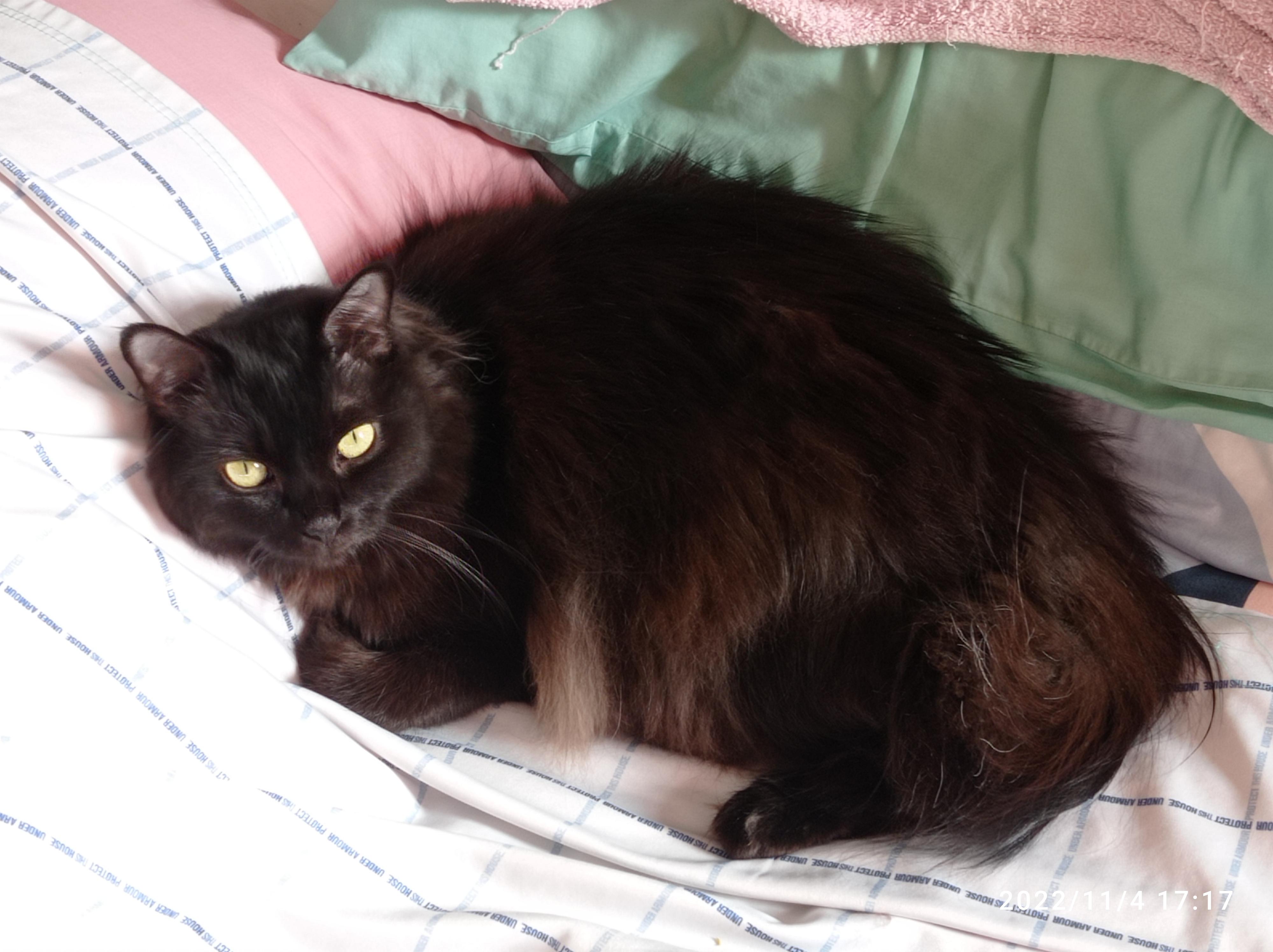 Her favourite spots | Scrolller