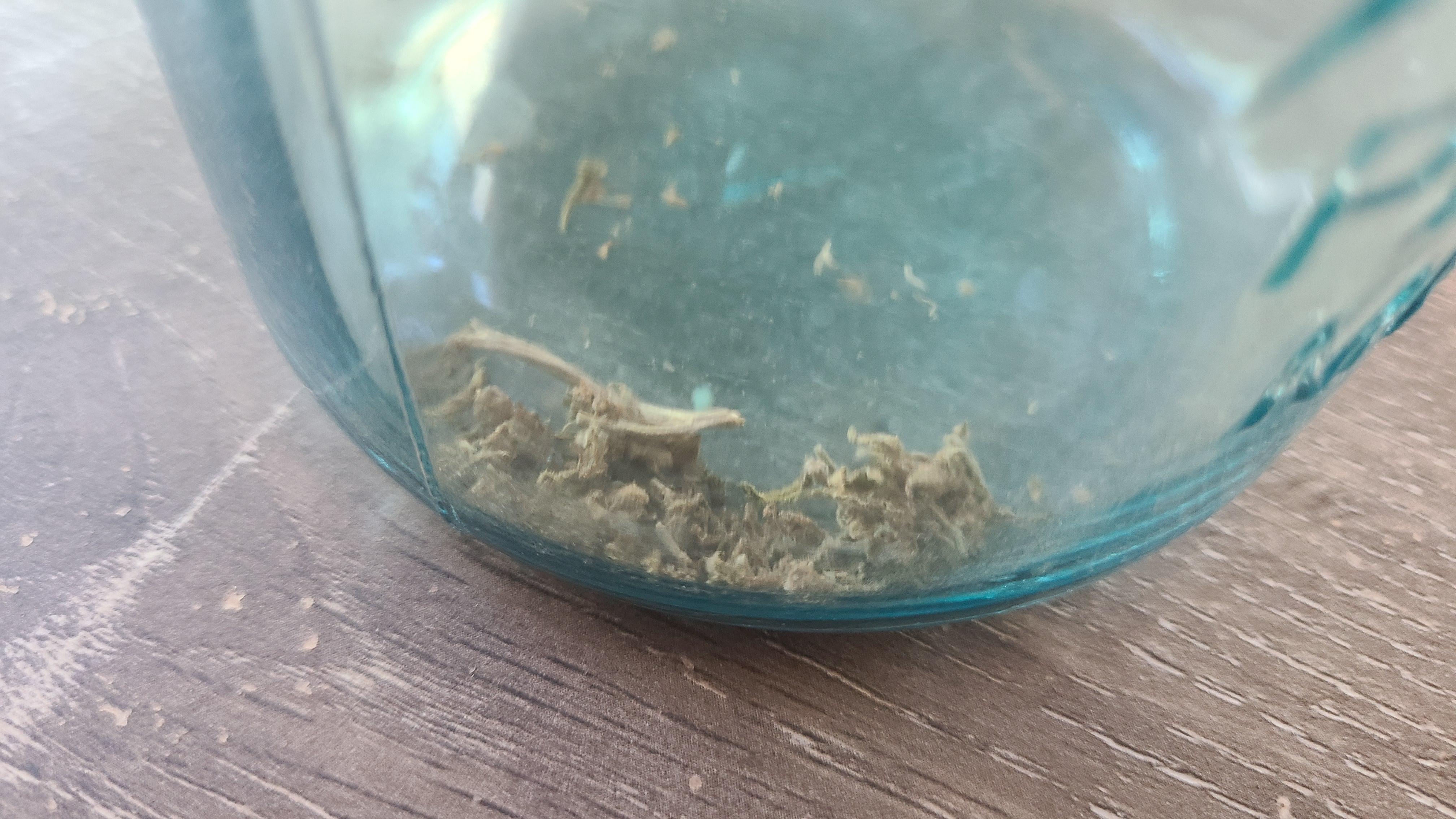 Goodwill Score | Scrolller