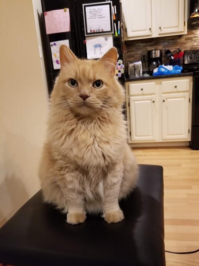 Can you remove the background? | Scrolller