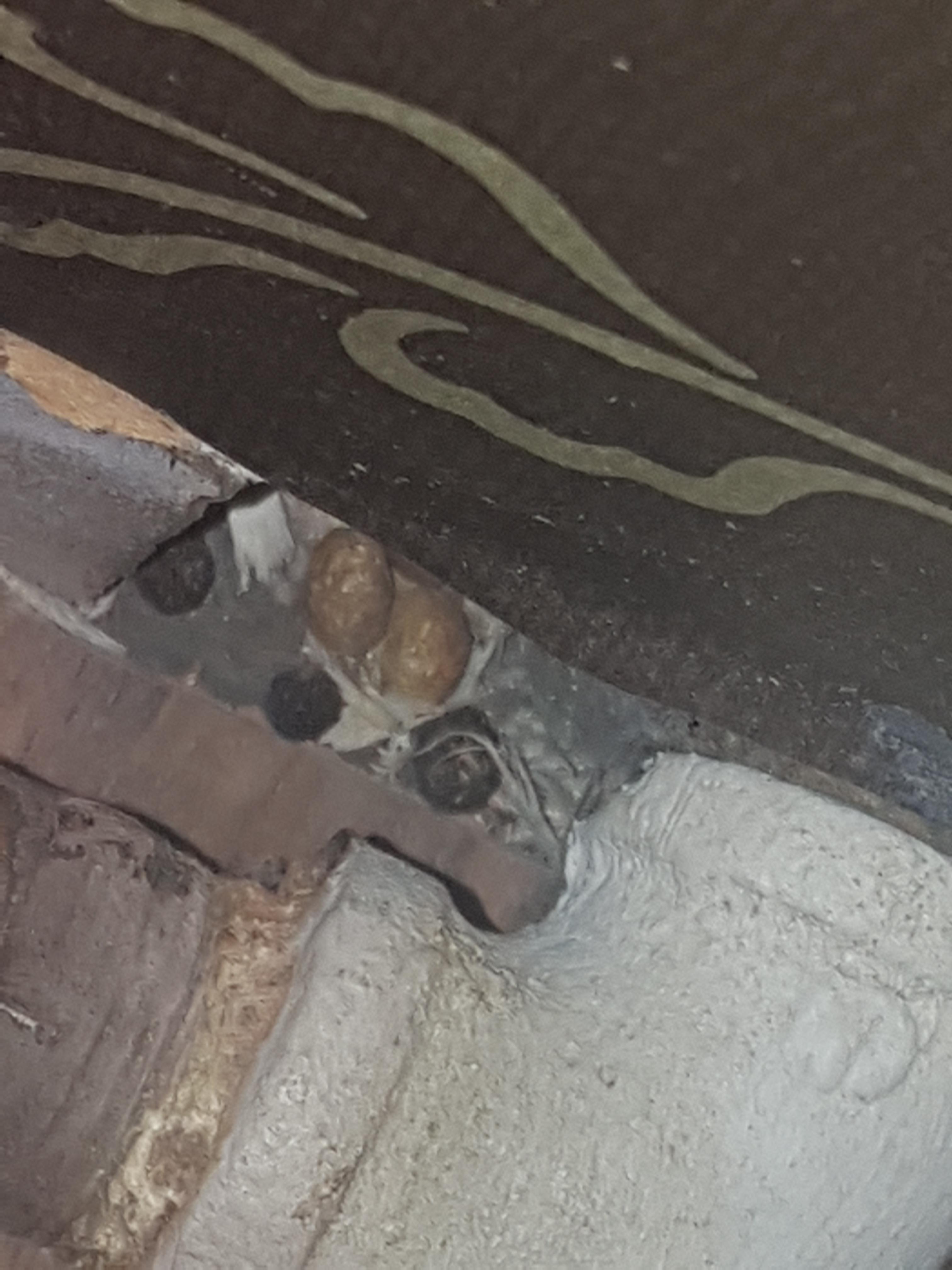 Discover more like Whatisthisthing: What are these round things near my water valve? and Related ...